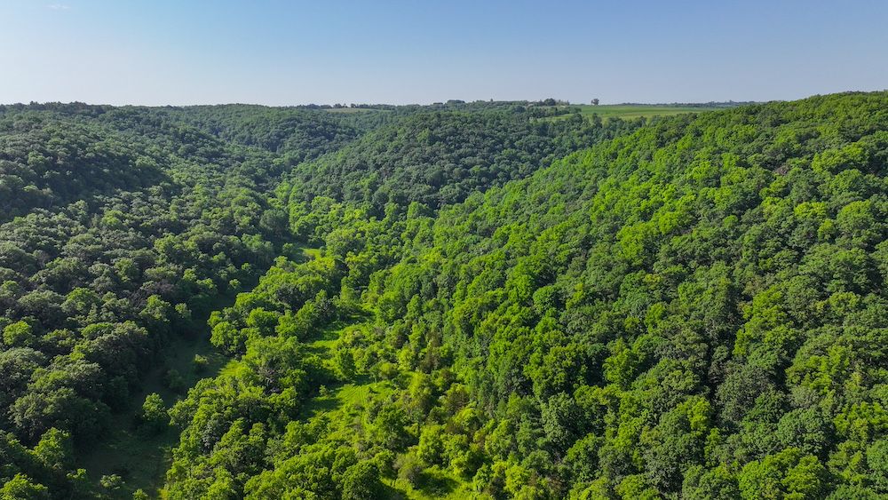 TBD E Twin Ridge Road, Lot#WP001, Houston, MN 55943 | LandWatch