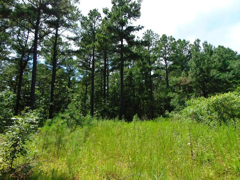 U.S. 271, Talihina, OK 74571 | LandWatch