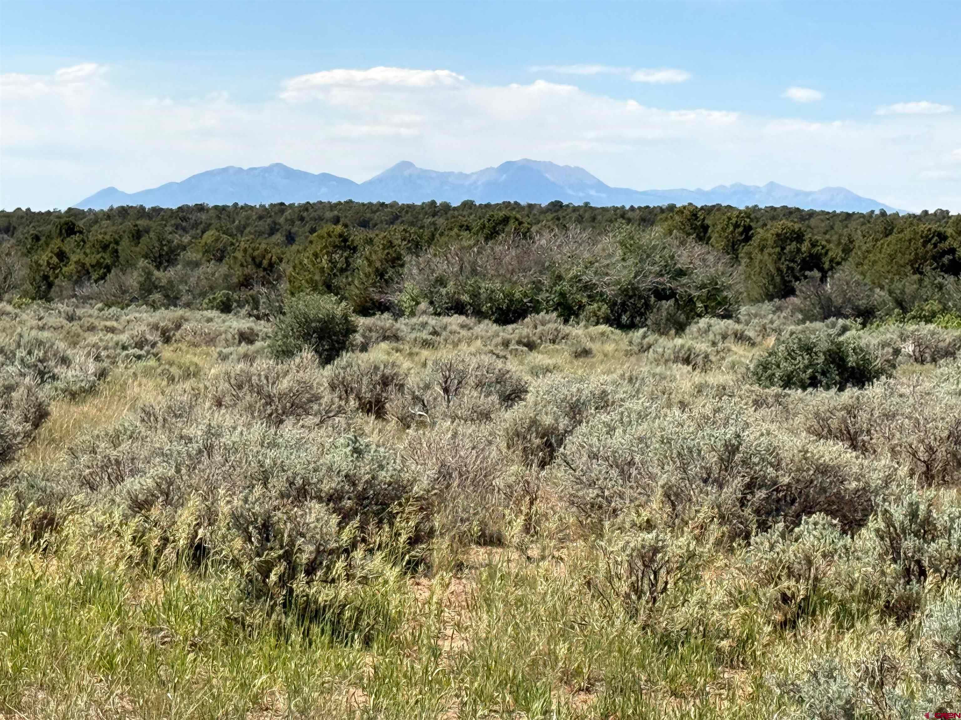 181 Road 9K, Egnar, CO 81325 | MLS: 825494 | LandWatch