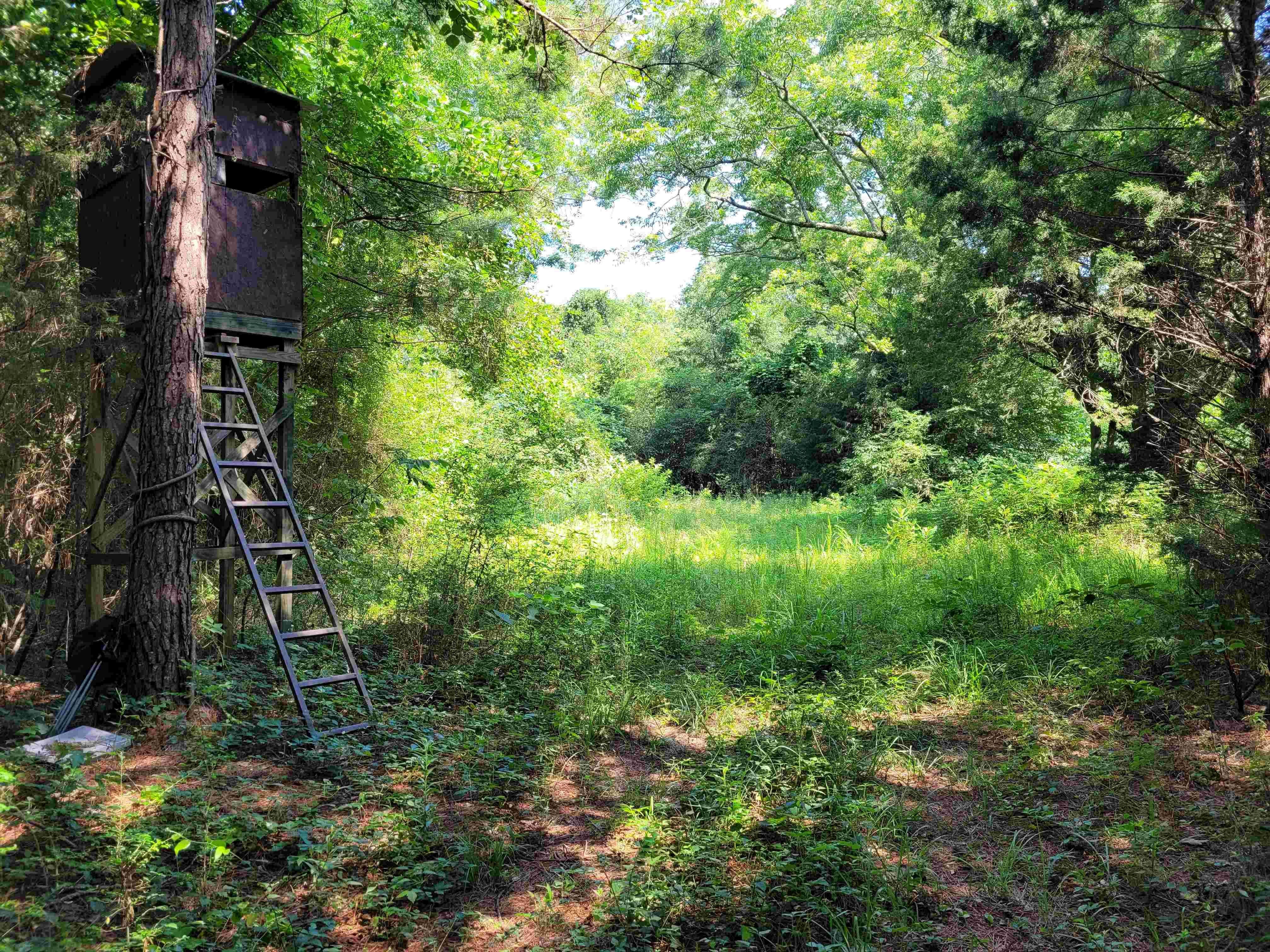 159 acres in Lafayette, AL, 36862 | MLS: Chambers 159 | LandWatch