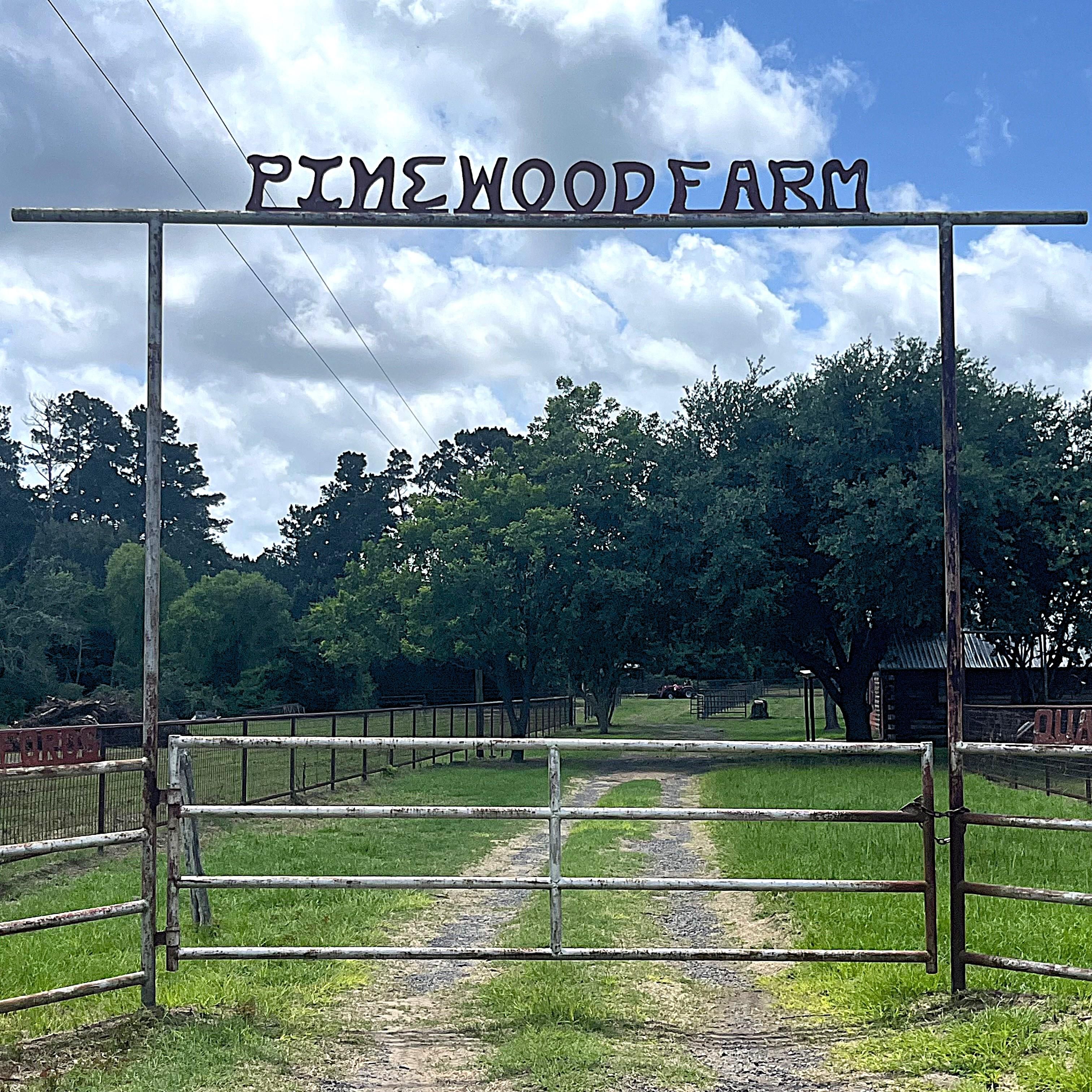 11488 CR 150, Centerville, TX 75833 | MLS: 93070616 | LandWatch
