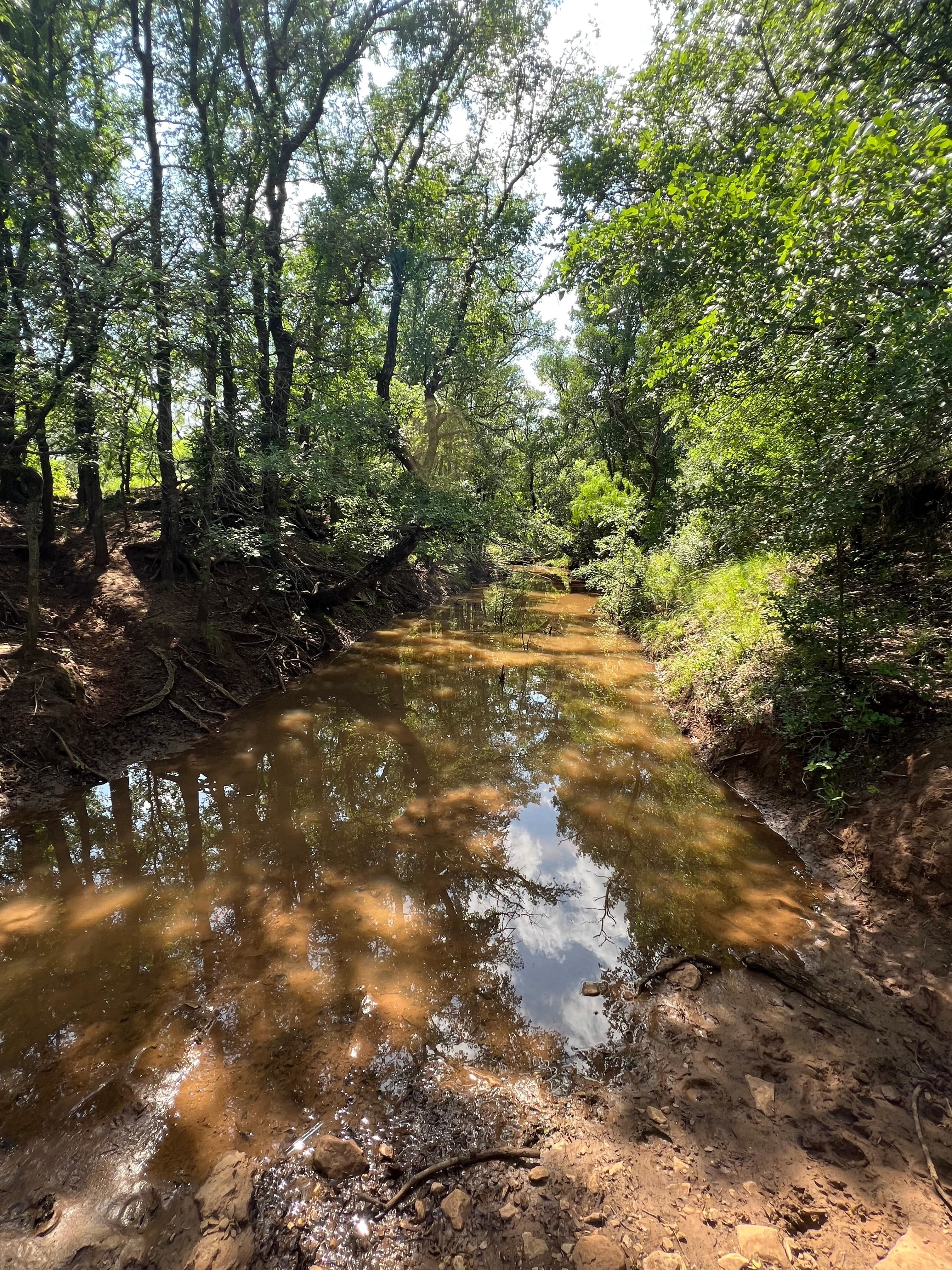 TBD County Road 137, Cisco, TX 76437 | LandWatch