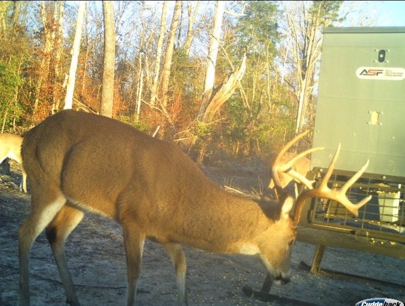 Slade Camp Rd., Lot#WP001, Truxno, LA 71277 | LandWatch