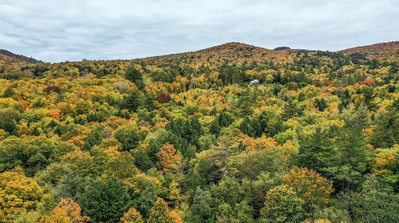 387 County Road 6, Clemons, NY 12819 | LandWatch