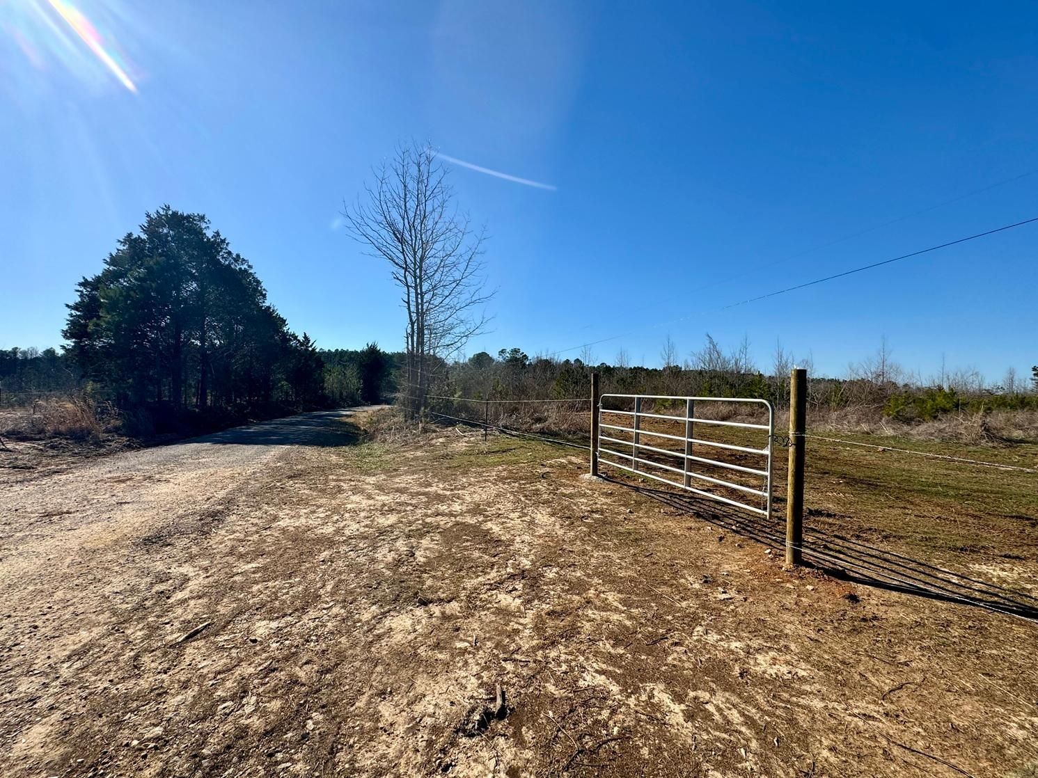 493 Collier Road, Golden, MS 38847 | MLS: 25-2247 | LandWatch