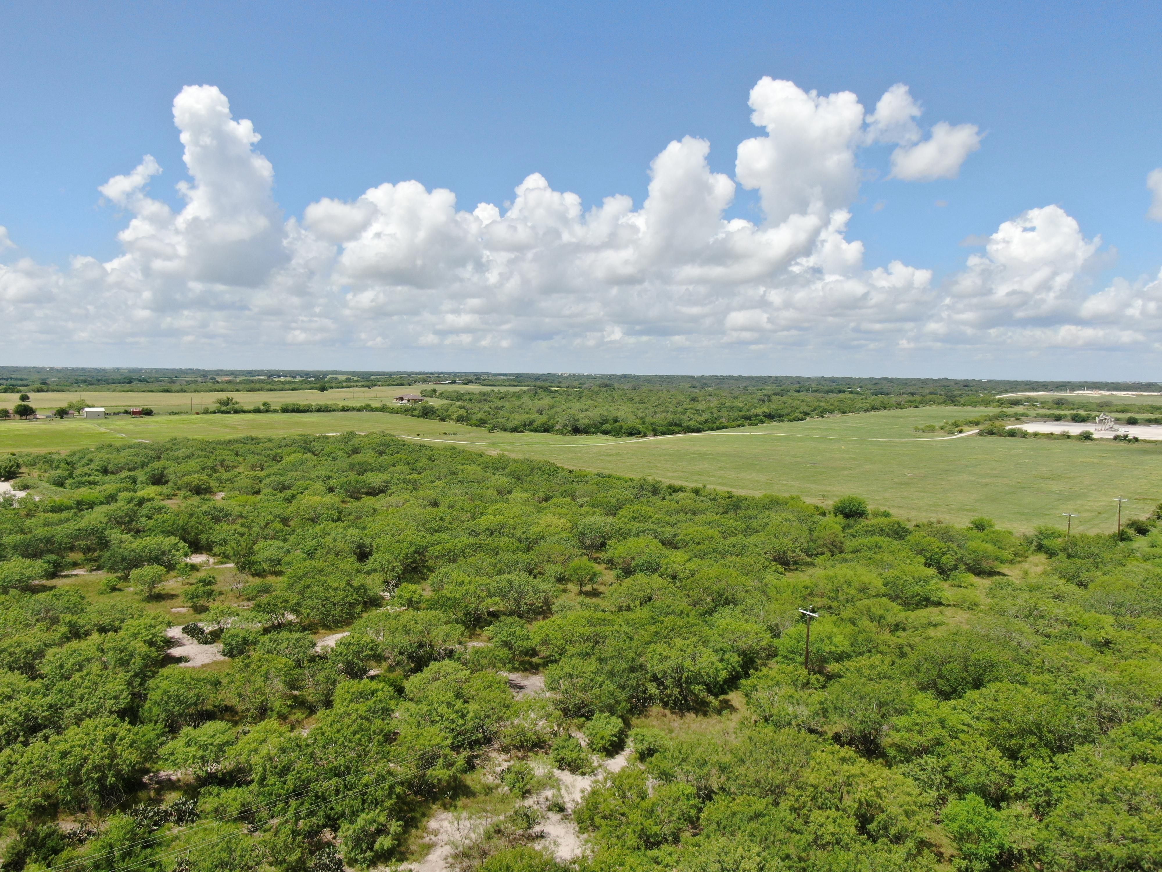 2913 County Road 208, Hobson, TX 78117 | LandWatch