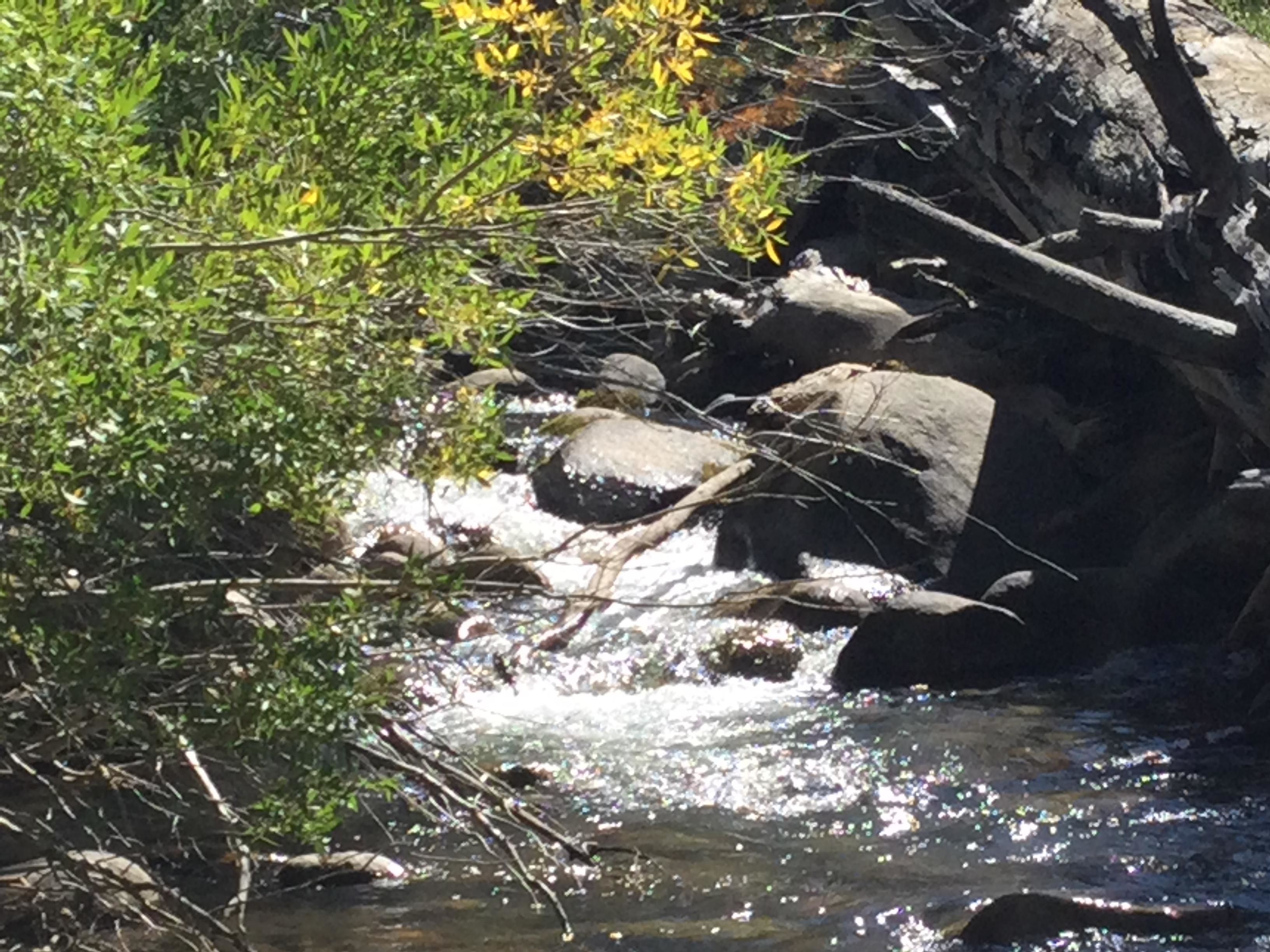 Little Walker River Road, Bridgeport, CA 93517 | MLS: Exclusive | LandWatch