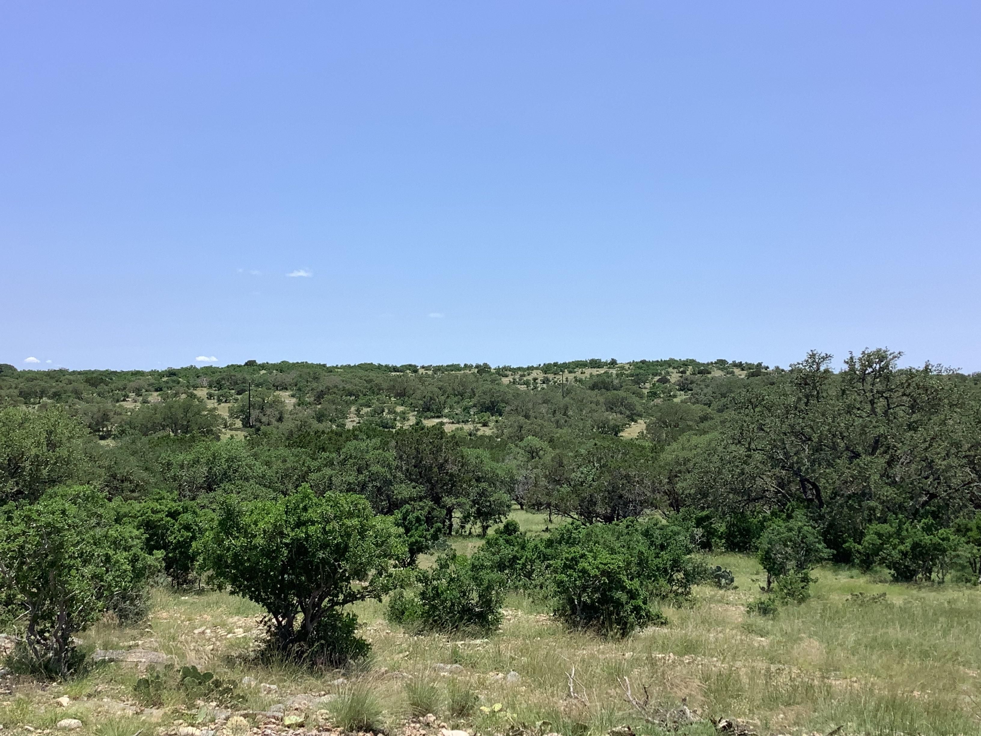 20.66 acres in Rocksprings, TX, 78880 | LandWatch