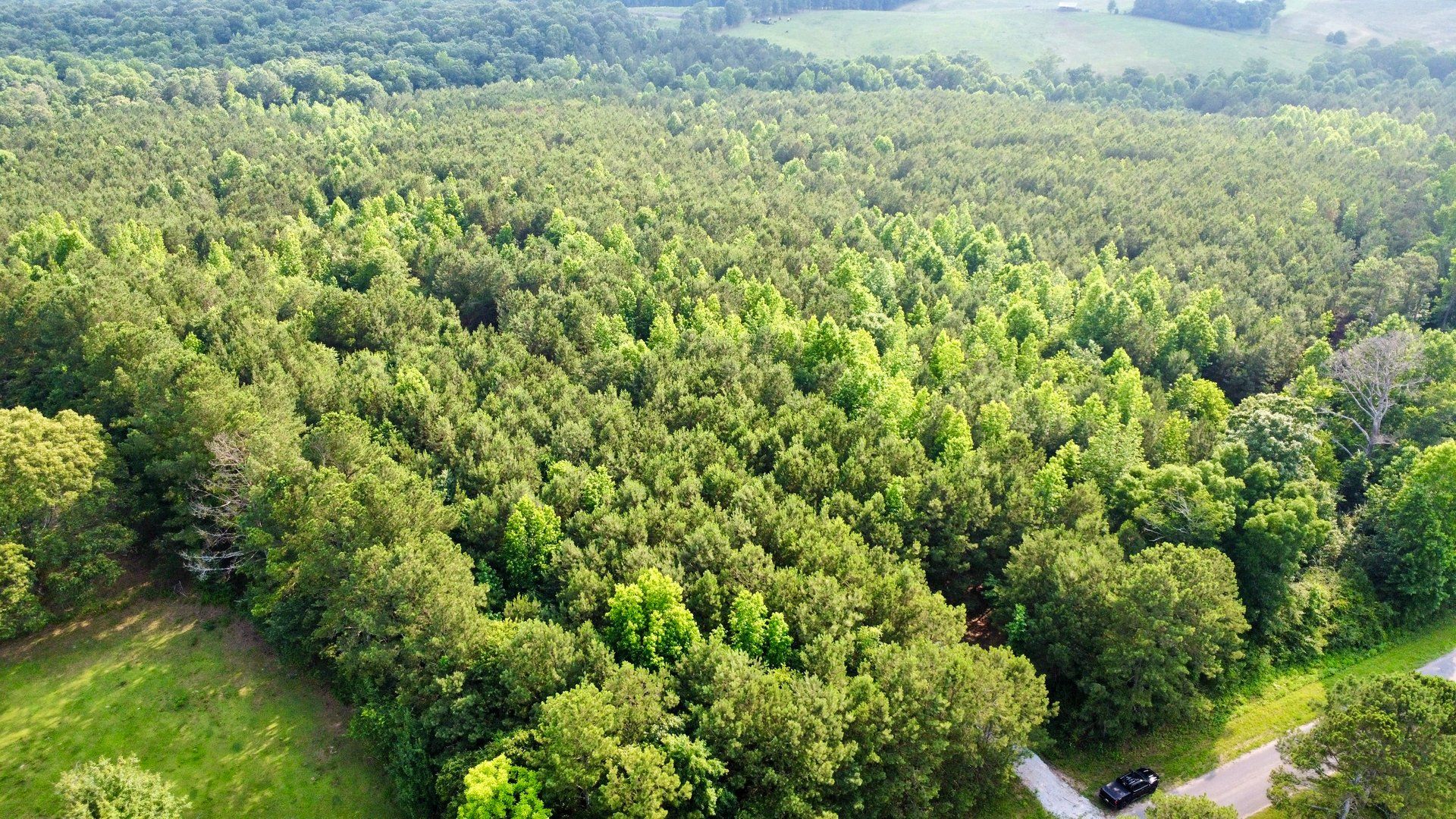 County Road 431, Newell, AL 36280 | LandWatch