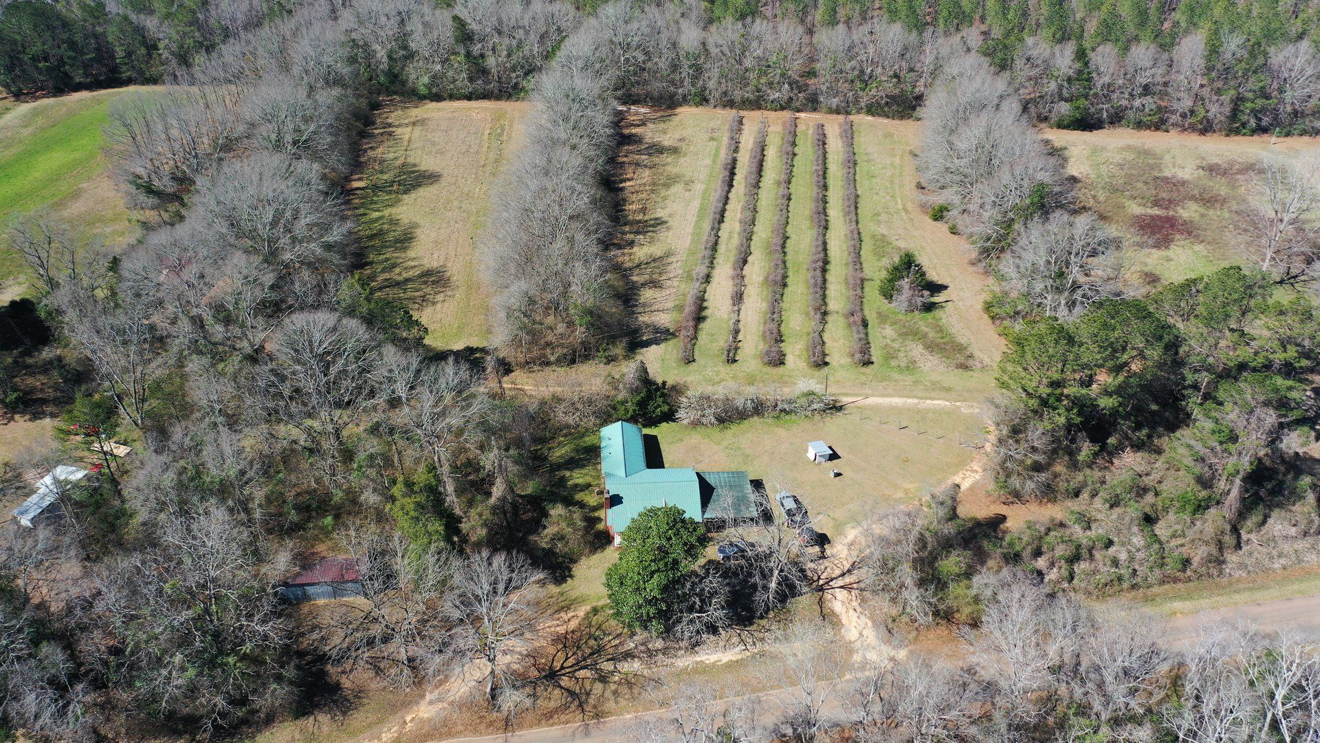 1047 County Rd 12, Evergreen, AL 36401 | LandWatch