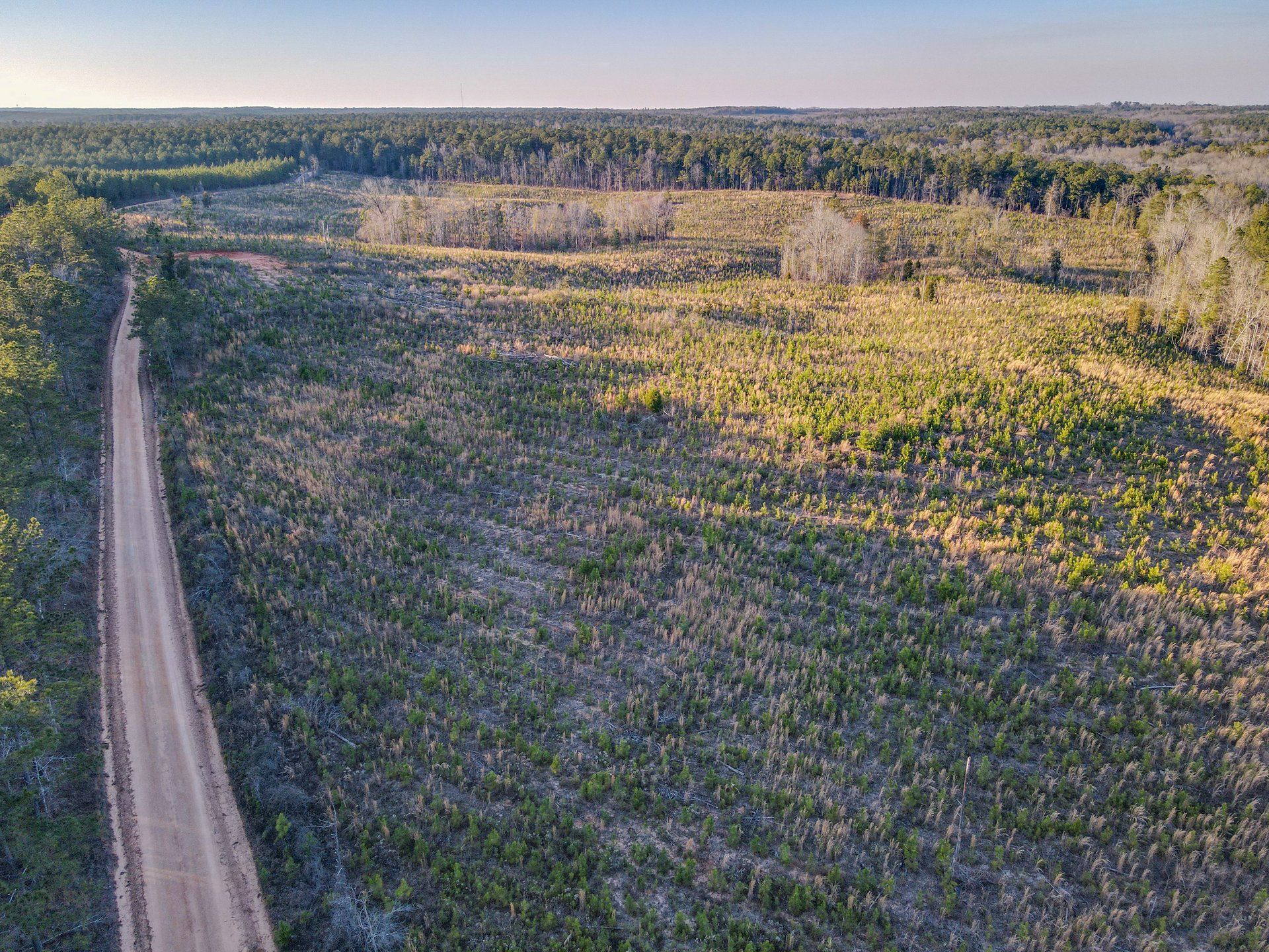 Bush Road, Seale, AL 36875 | LandWatch