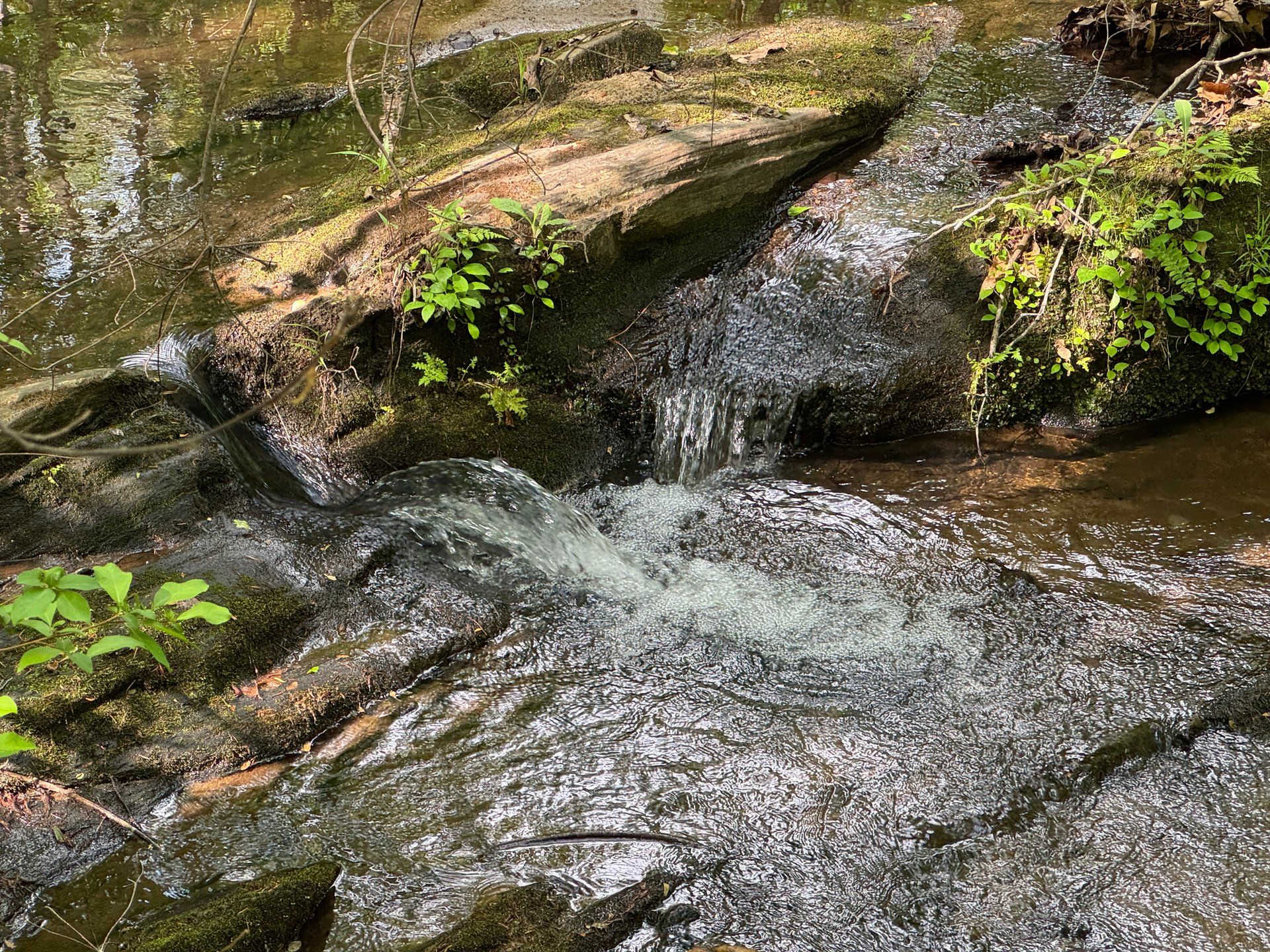 Churchill Road, camp hill, AL 36850 | LandWatch