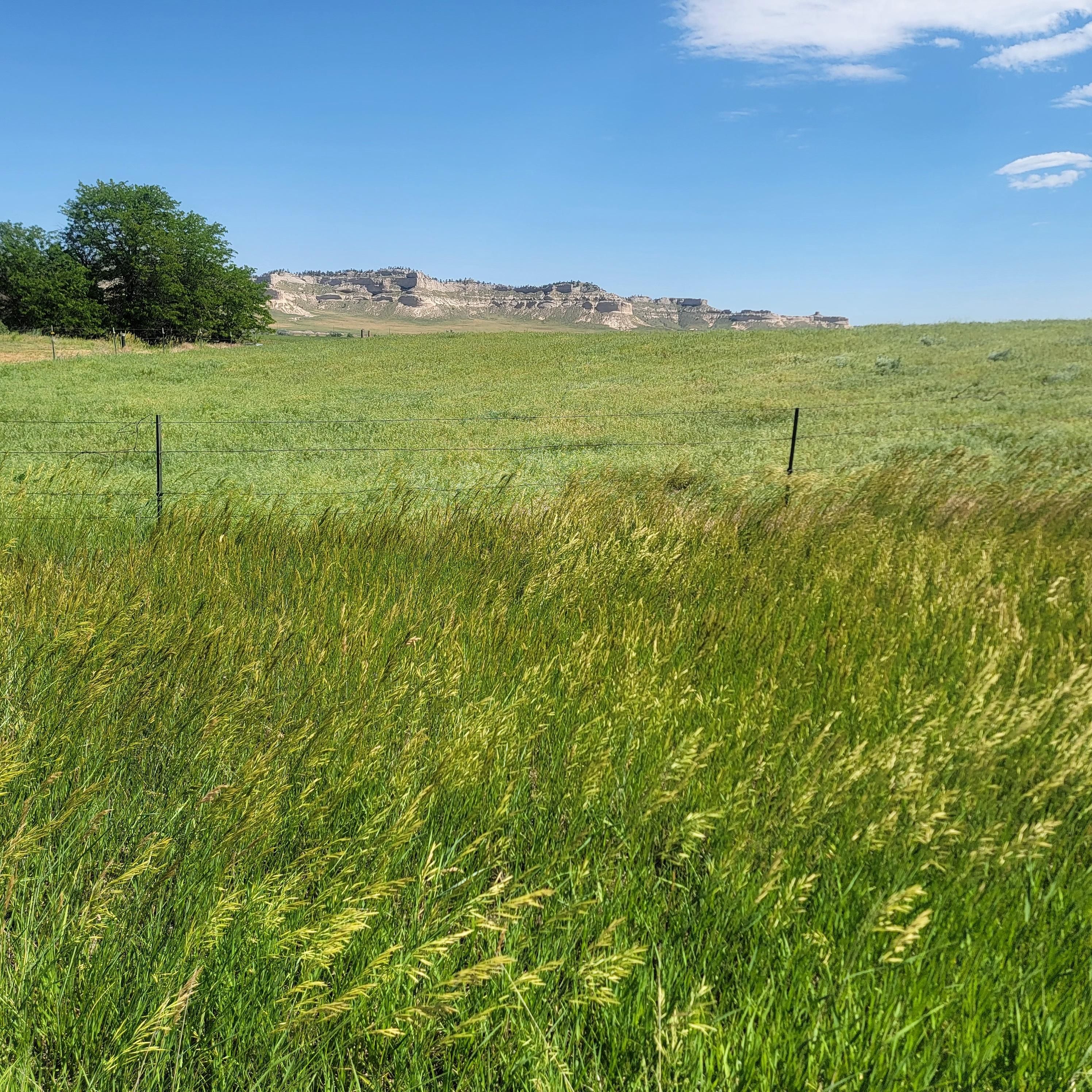 3790 County Road 34, Harrisburg, NE 69345 | LandWatch