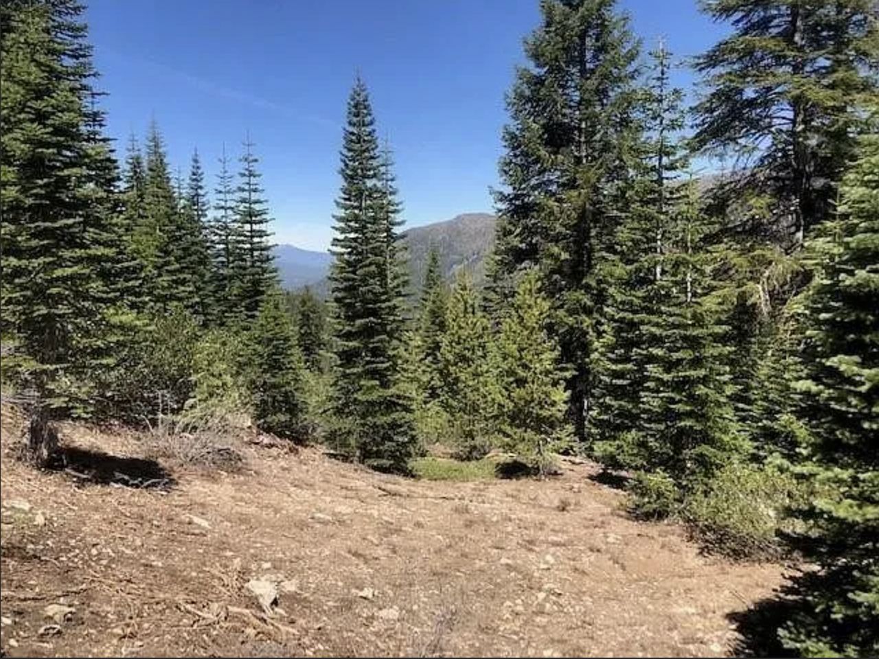 41 acres in Macdoel, CA, 96058 | LandWatch