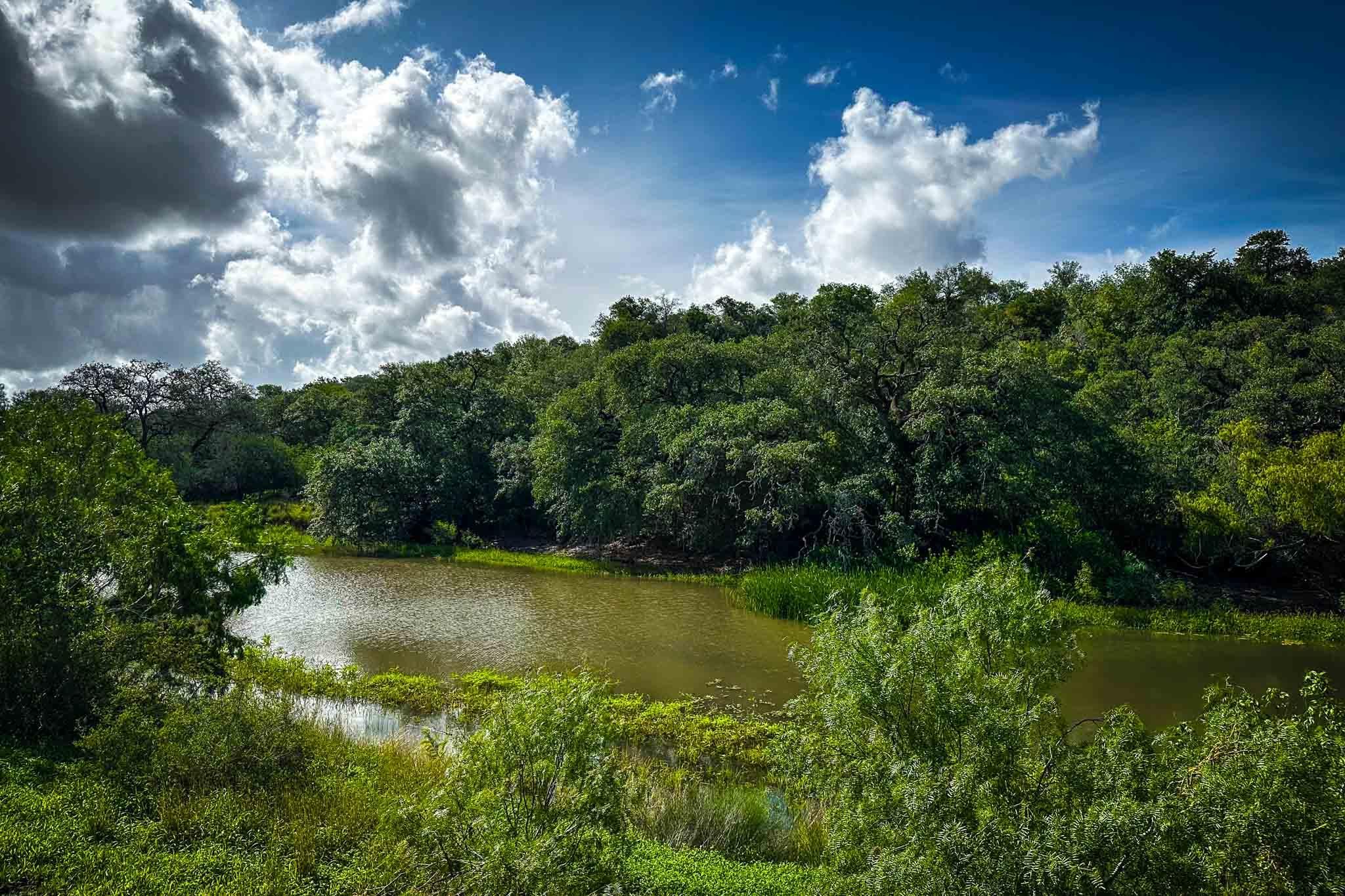 FM 1303, Floresville, TX 78114 | LandWatch