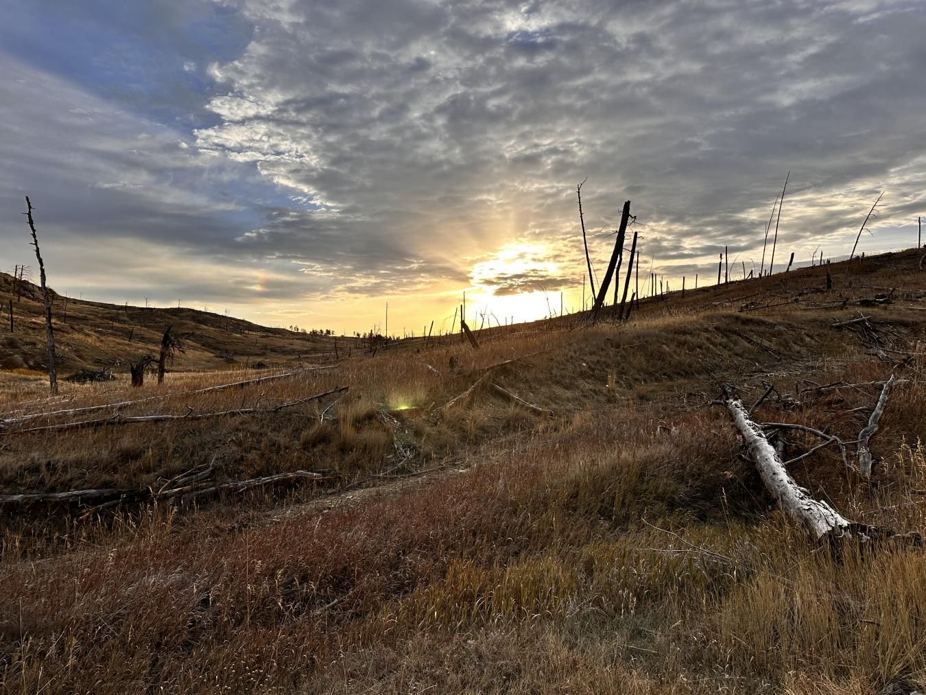 TBD Buckskin Road, Roundup, MT 59072 | LandWatch