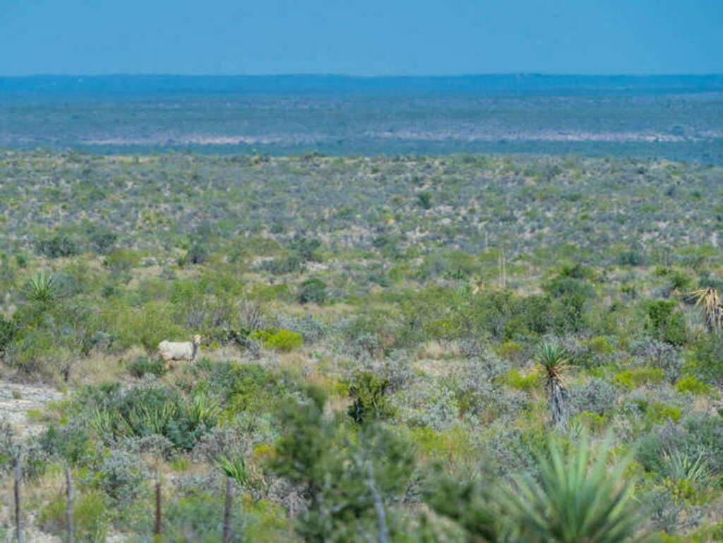293 acres in Langtry, TX, 78871 | LandWatch