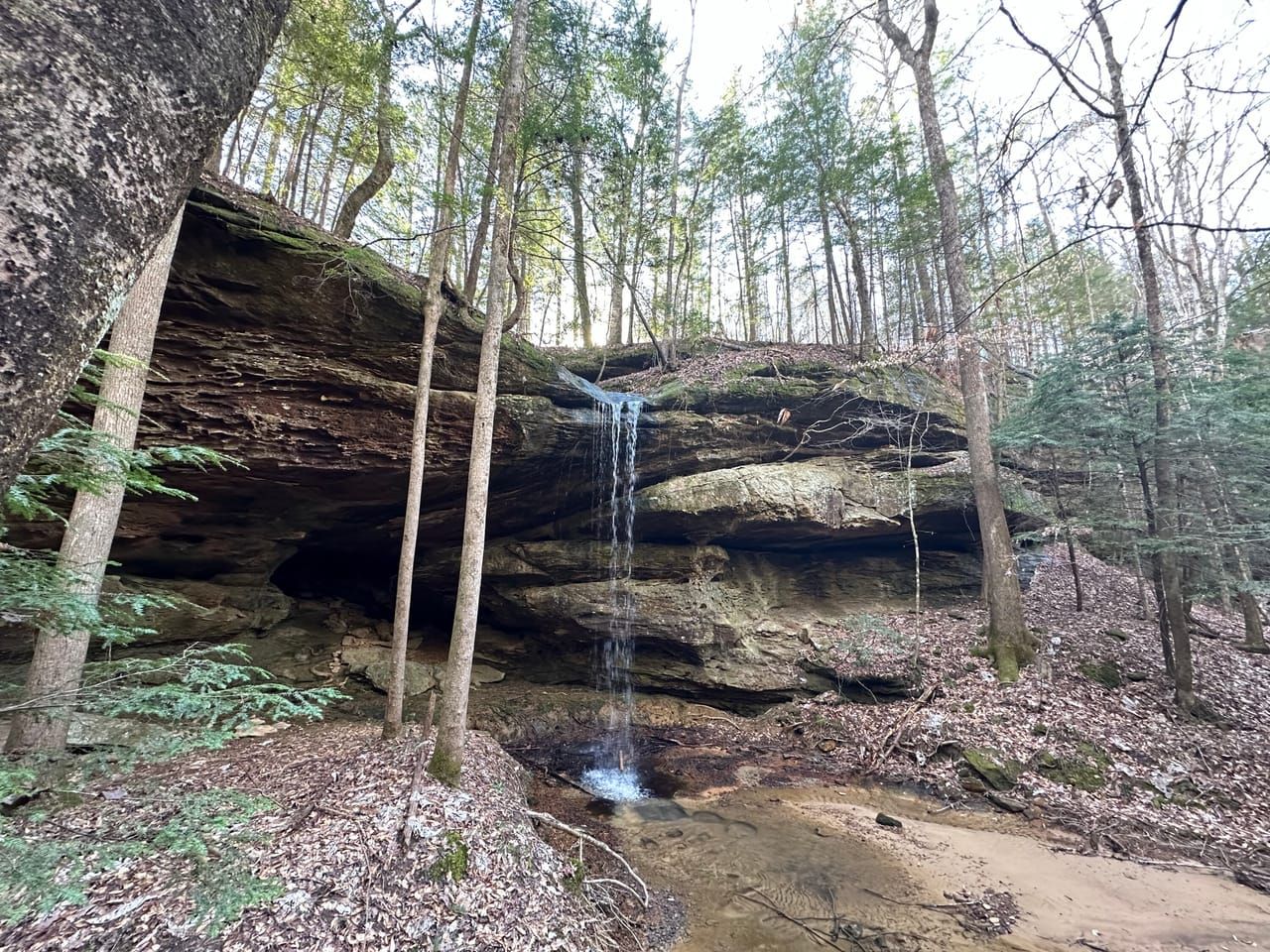 000 Co Rd 18, Double Springs, AL 35553 | LandWatch