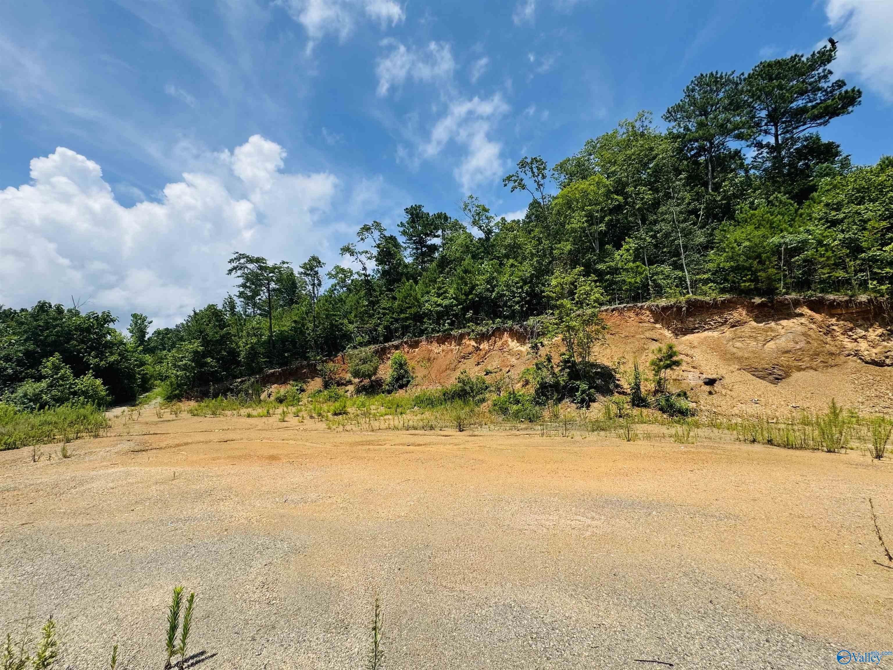 21.85 Acres Tar Kil Road, Eva, AL 35621 | MLS: 21893049 | LandWatch