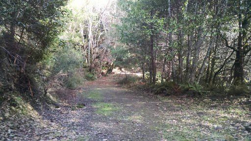 100 Moore Ranch Road, Weitchpec, CA 95546 | MLS: 269995 | LandWatch