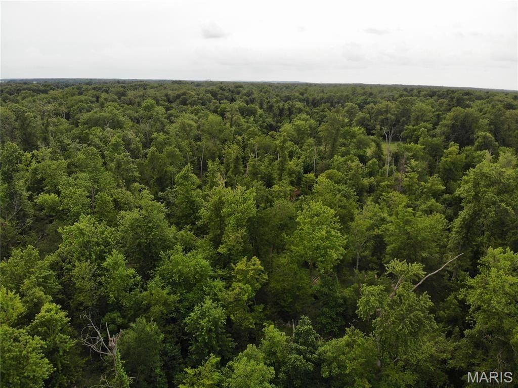 0 Magnolia Ln, Hoyleton, IL 62803 | MLS: 25045596 | LandWatch