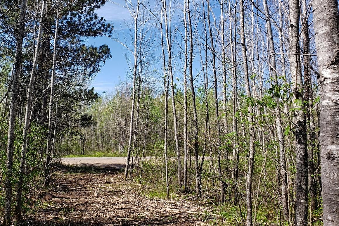 County Road Y, Tomahawk, WI 54487 | LandWatch