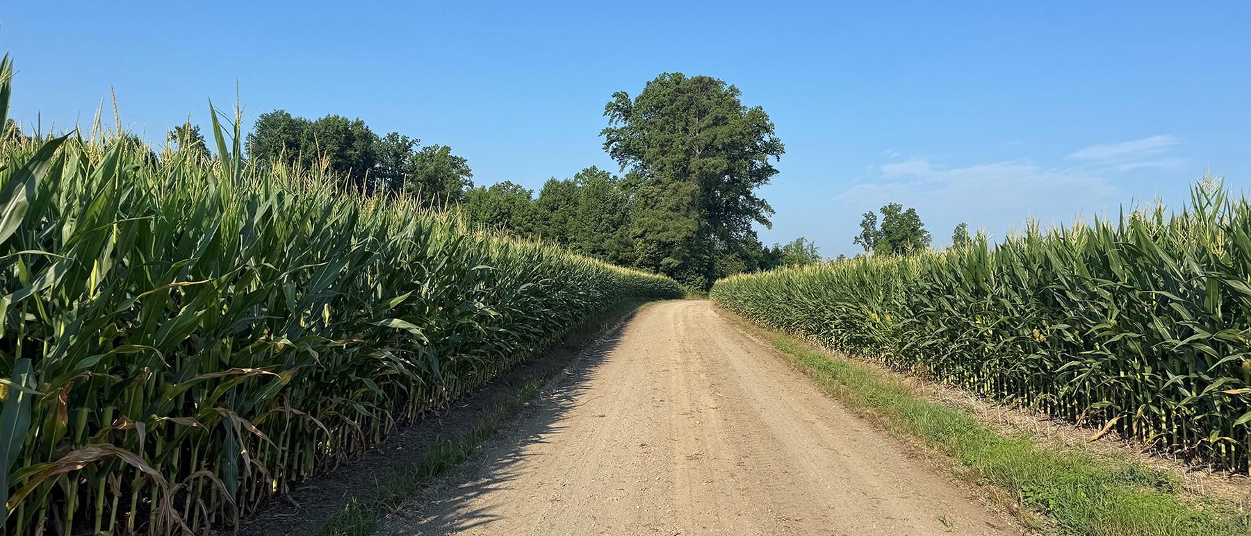 Dunaway Lane, Farnham, VA 22460 | LandWatch