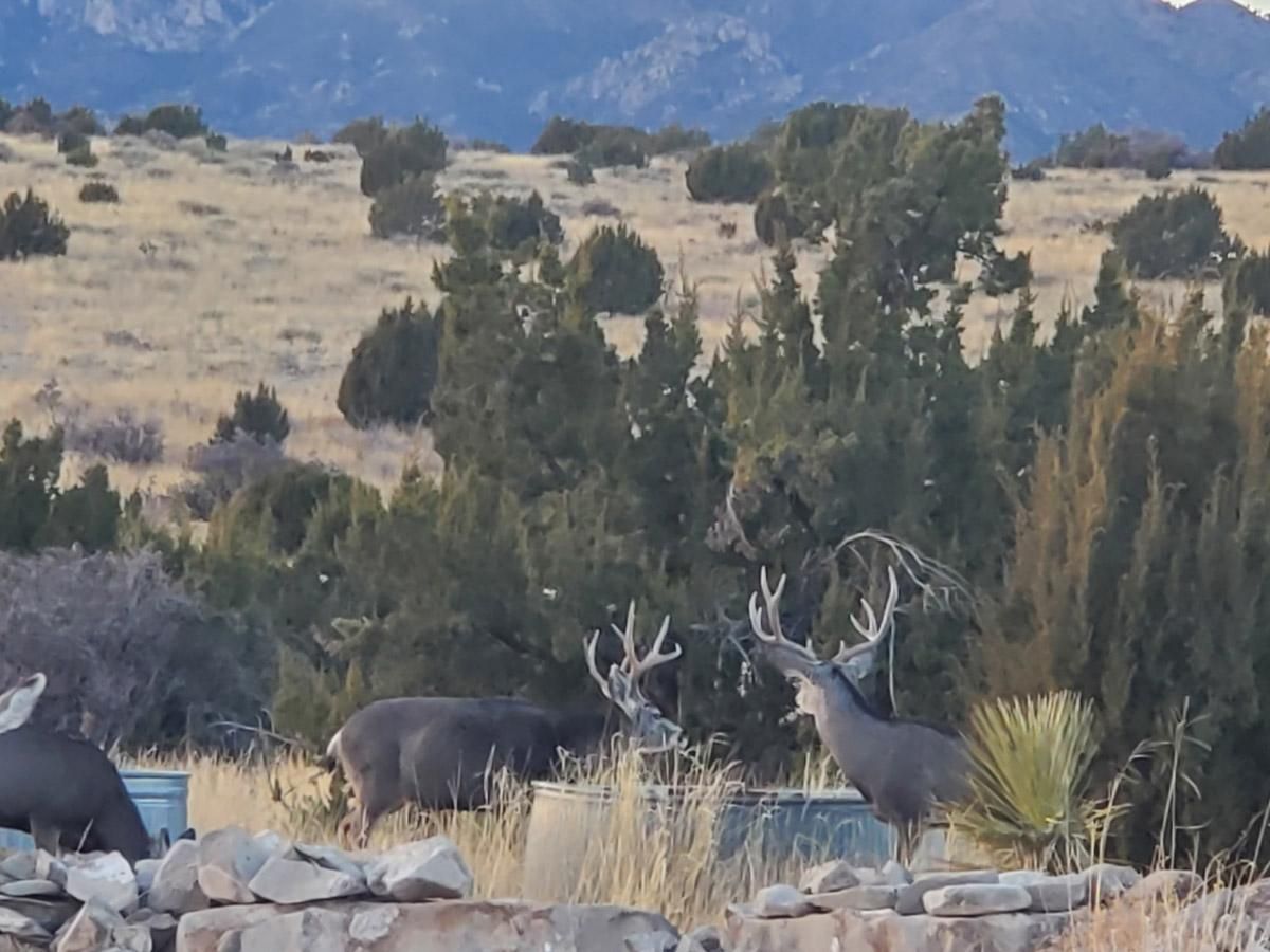 420 acres in Tinnie, NM, 88343 | LandWatch