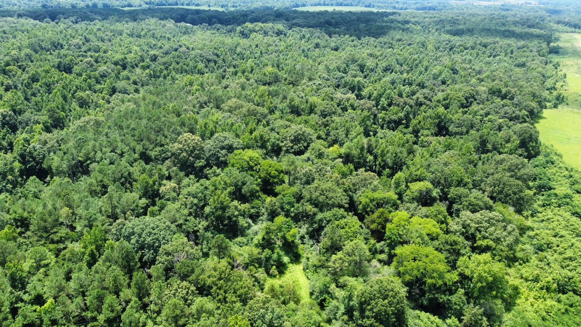 58 Acres, Holmes County, MS, Lexington, MS 39095 | LandWatch