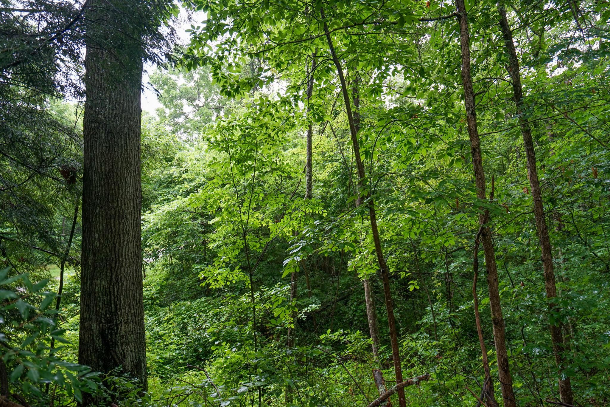 Meacham Rd, Ray, OH 45672 | LandWatch