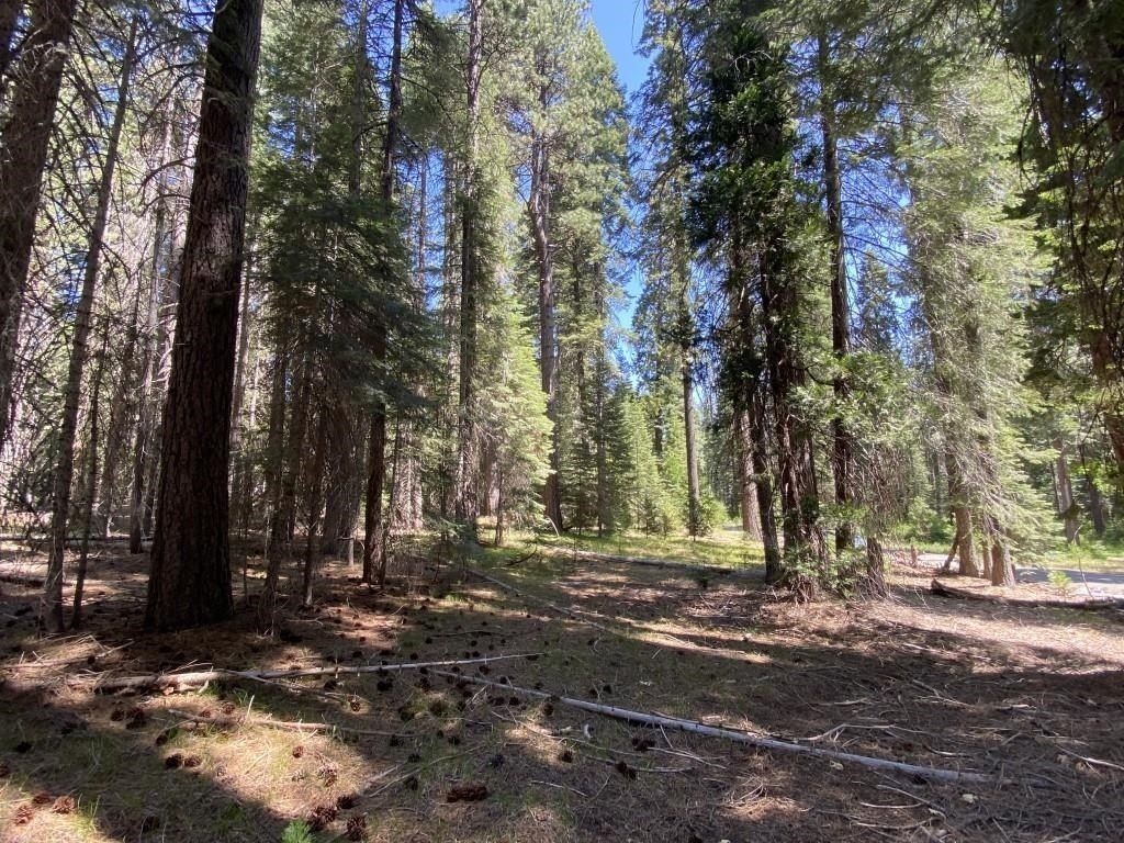 2-B-6 Crestview Way, Mccloud, CA 96057 | MLS: 20250806 | LandWatch