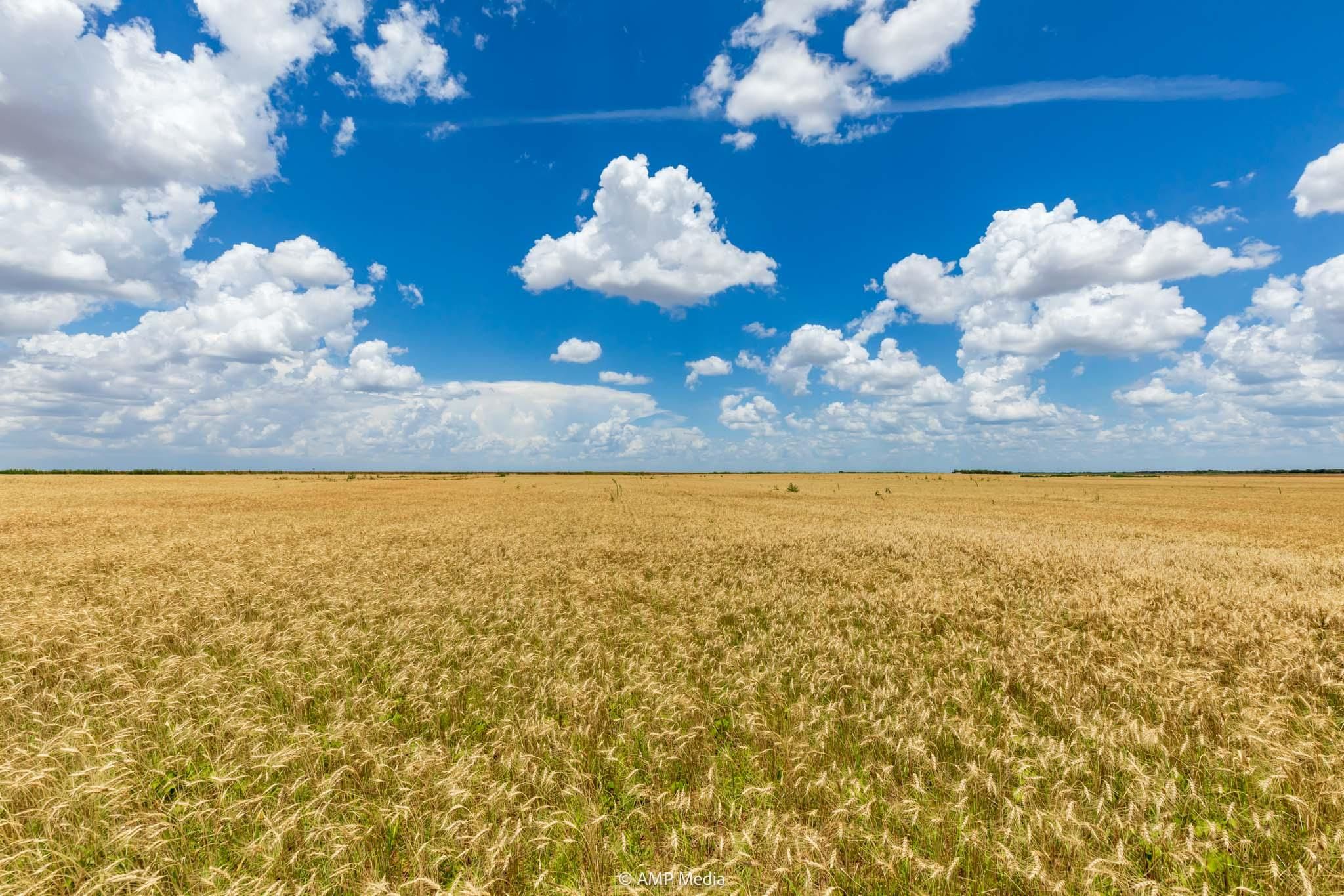 164 acres in Avoca, TX, 79503 | LandWatch
