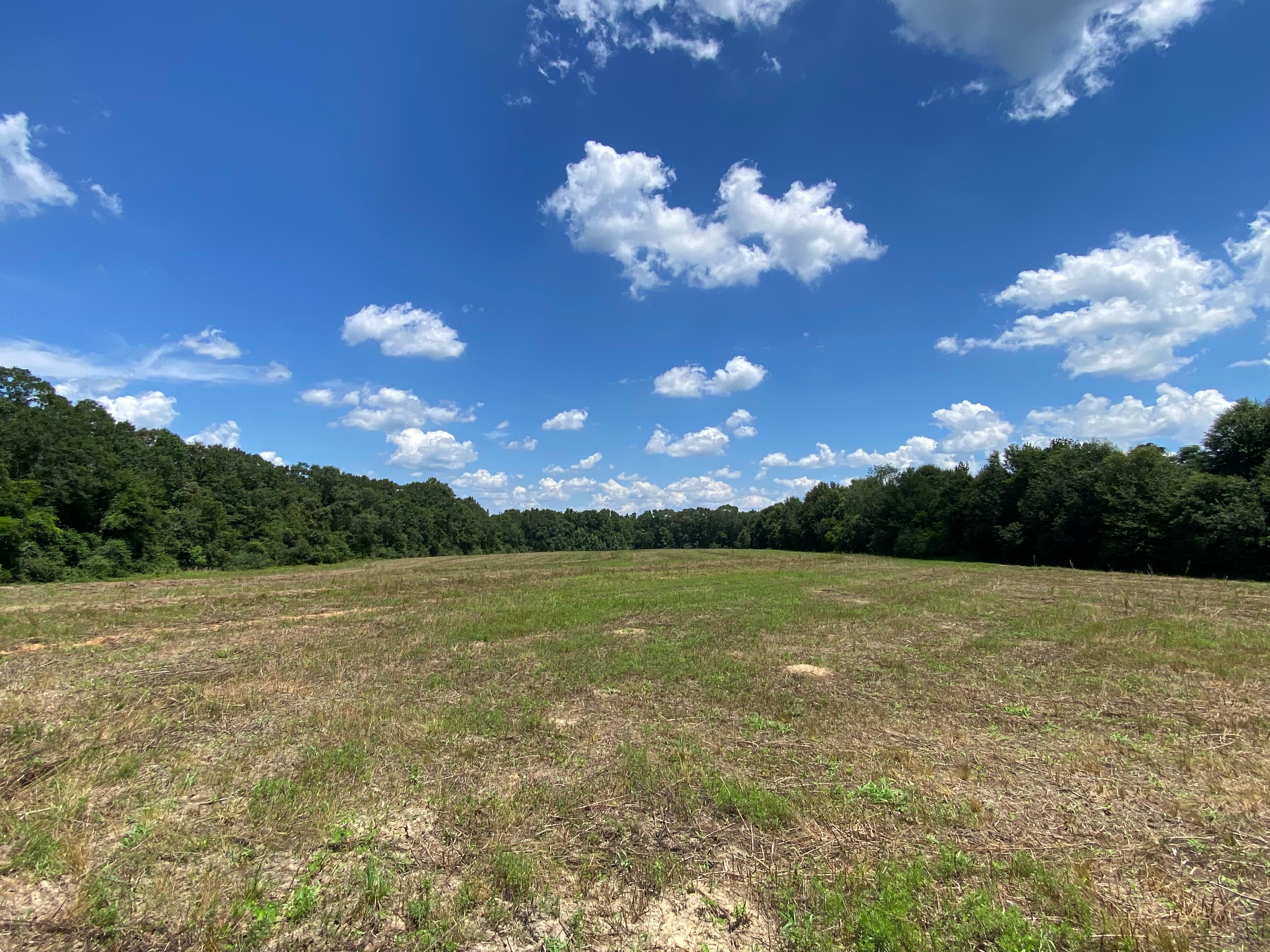 91 acres in Samson, AL, 36477 | LandWatch