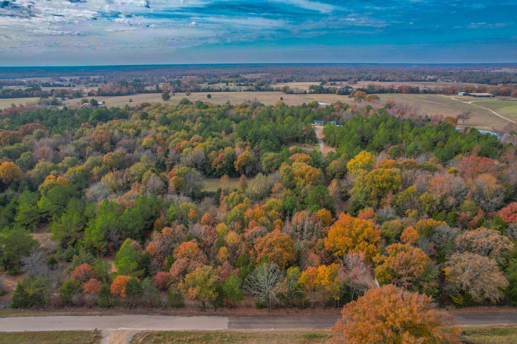 N/S CR 4960, Quitman, TX 75783 | MLS: Hunting and Recreation Hideaway ...