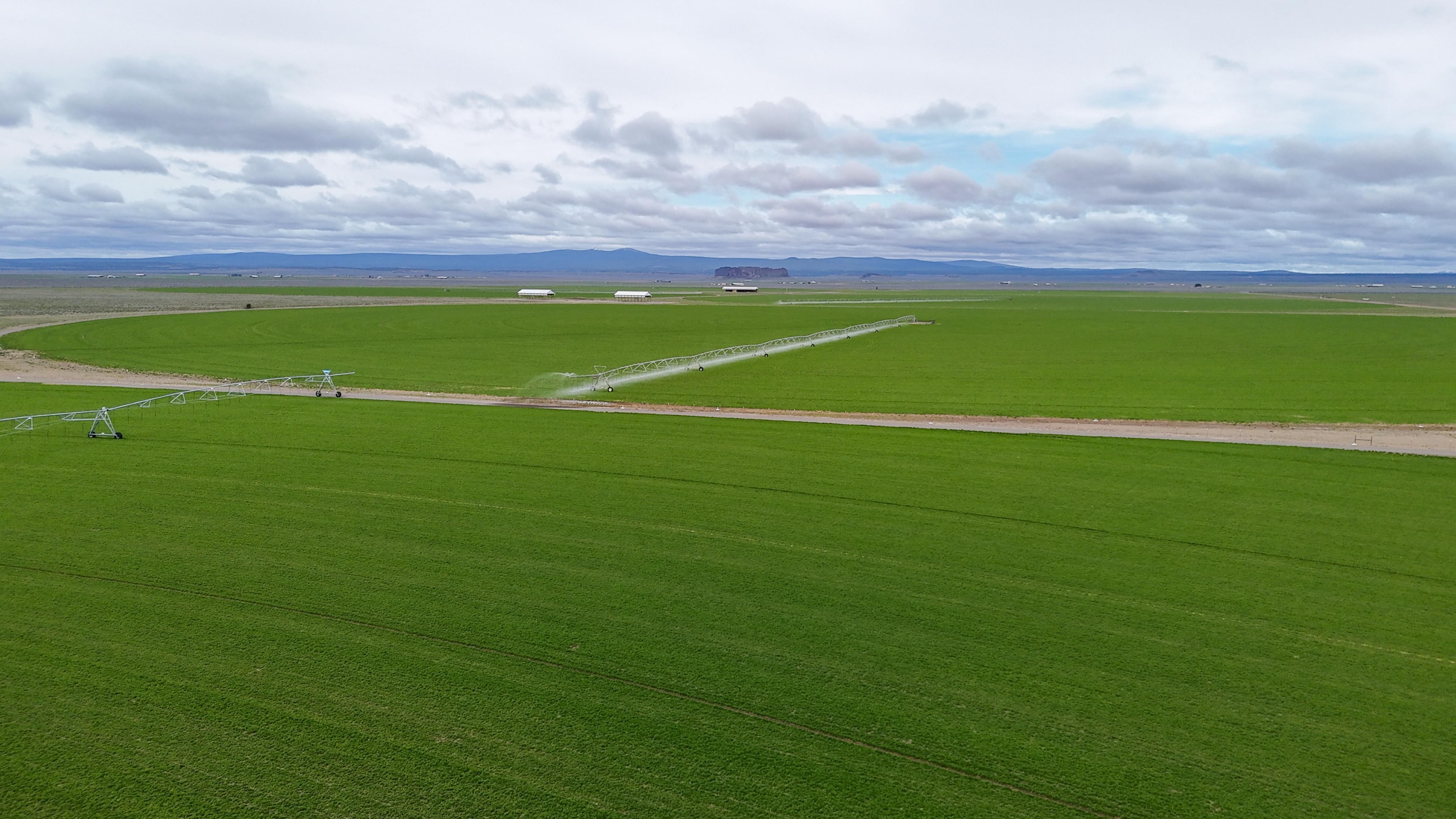 79333 Soto Ln, Fort Rock, OR 97735 | LandWatch