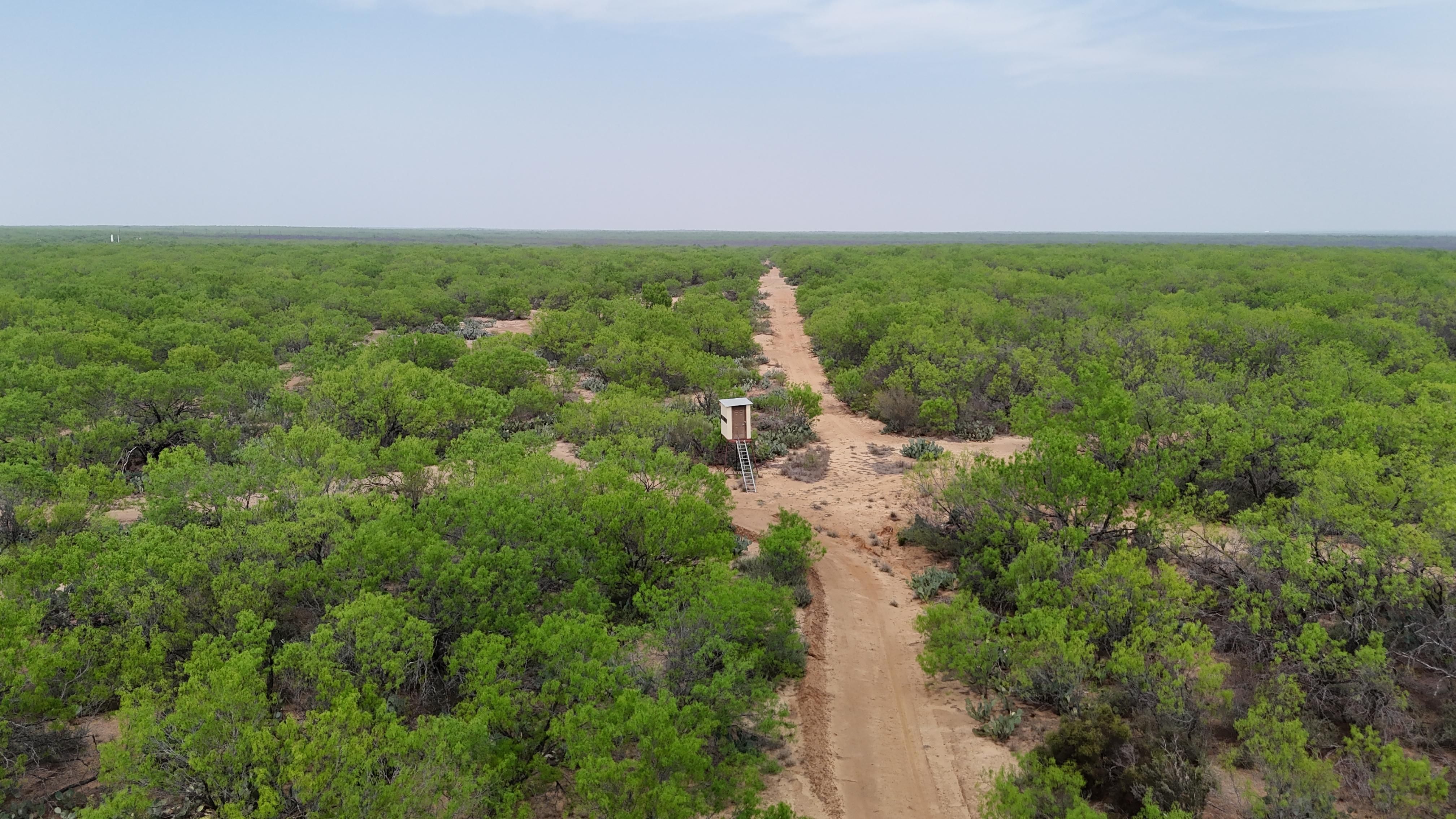 Texas 85, Big Wells, TX 78830 | LandWatch