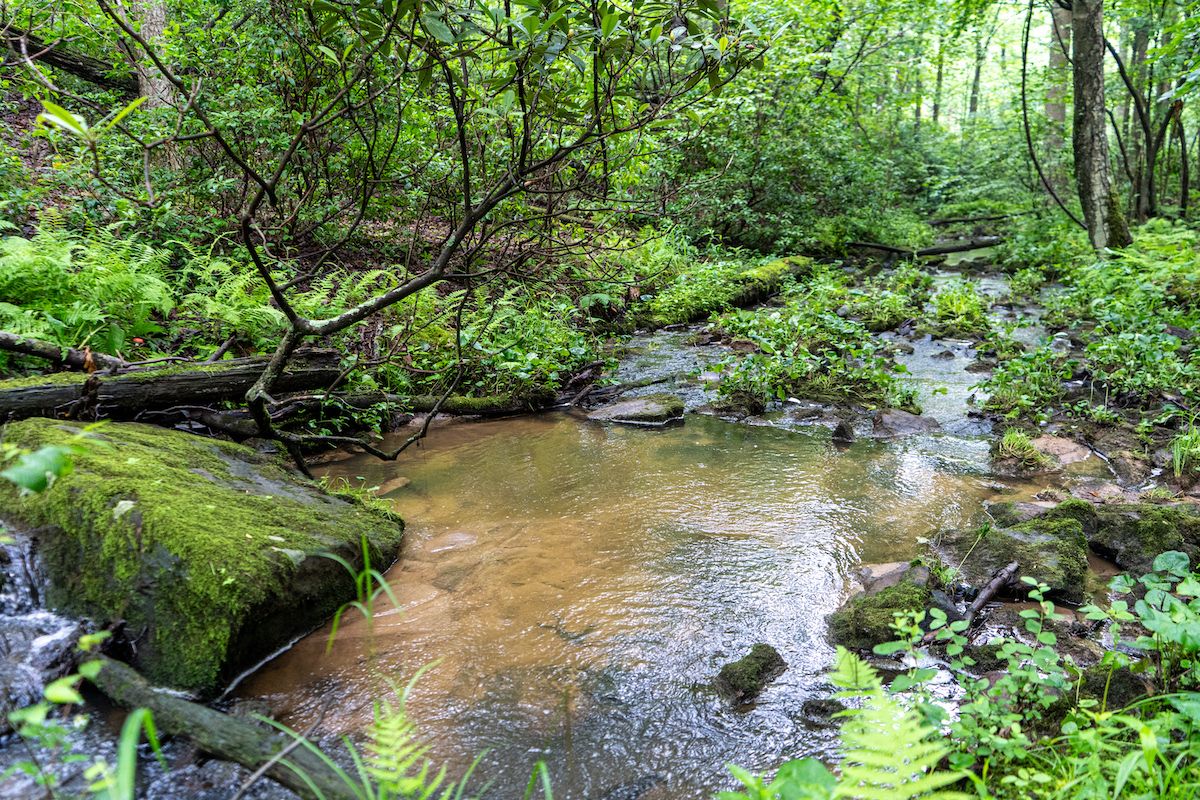 TBD Beaver Creek Dr., Bruceton Mills, WV 26525 | LandWatch