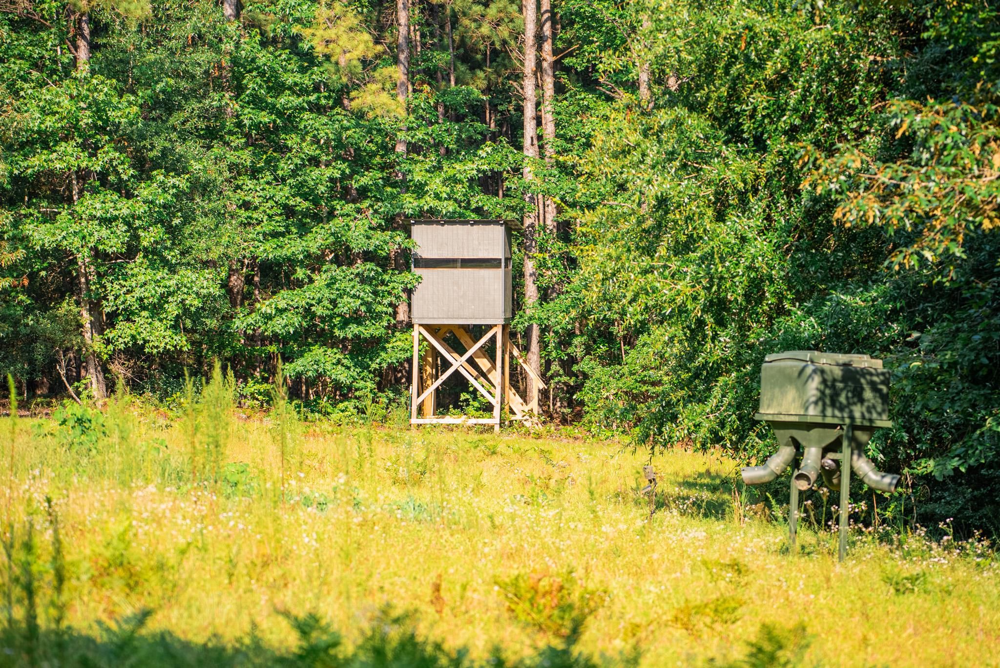 114 acres in Butler, GA, 31006 | LandWatch