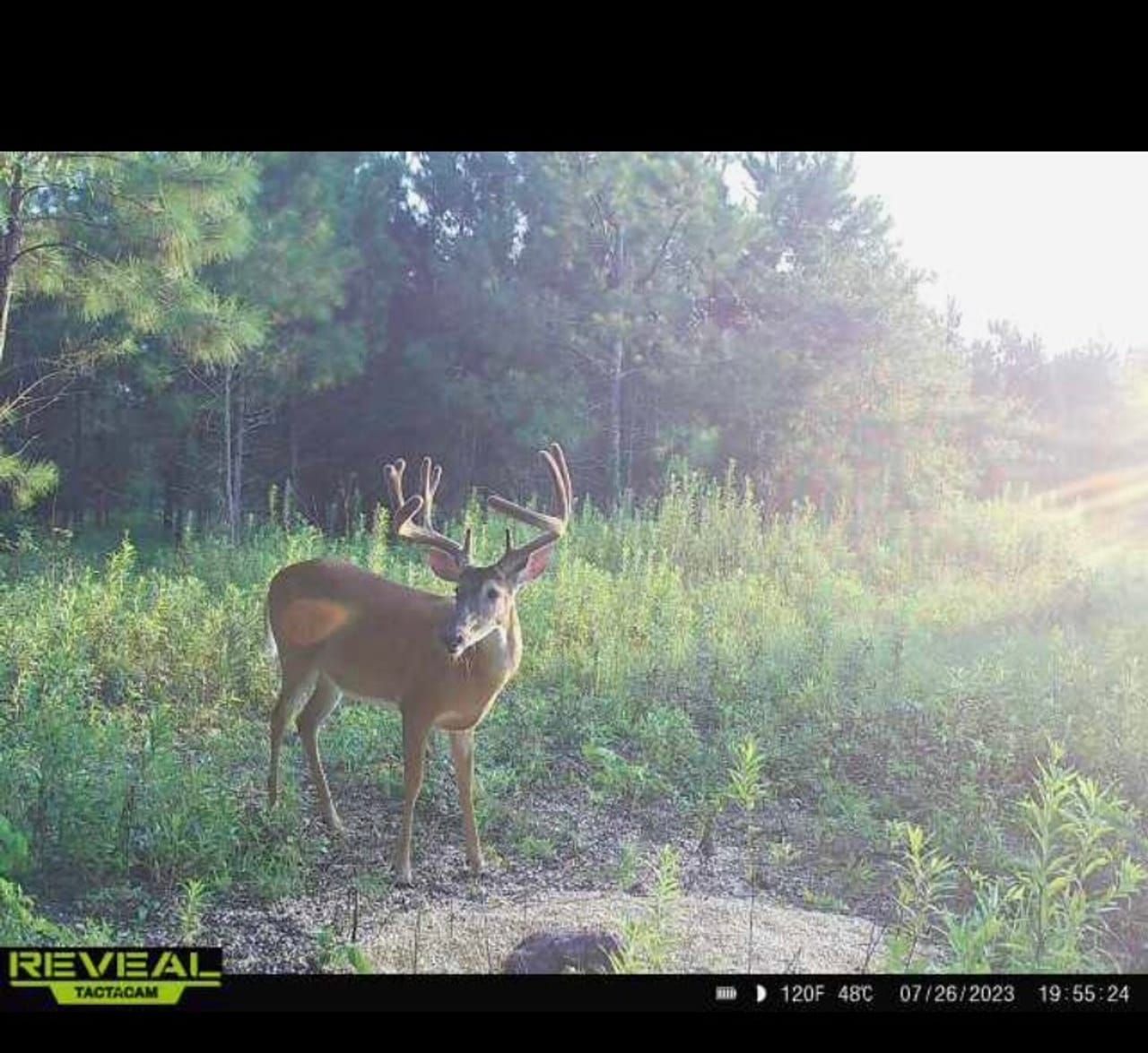 Edison Highway, Coleman, GA 39836 | LandWatch