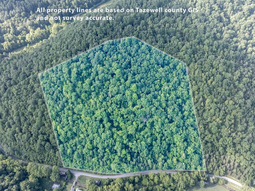Tbd Dry Fork Road, Cedar Bluff, VA 24609 | MLS: 100464 | LandWatch