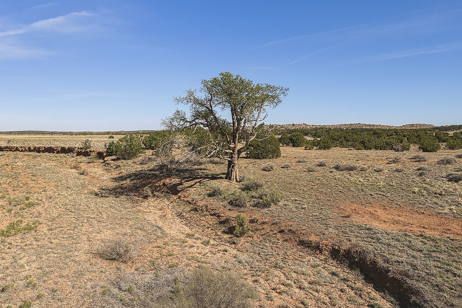 1.25 acres in Sun Valley, AZ, 86025 | LandWatch