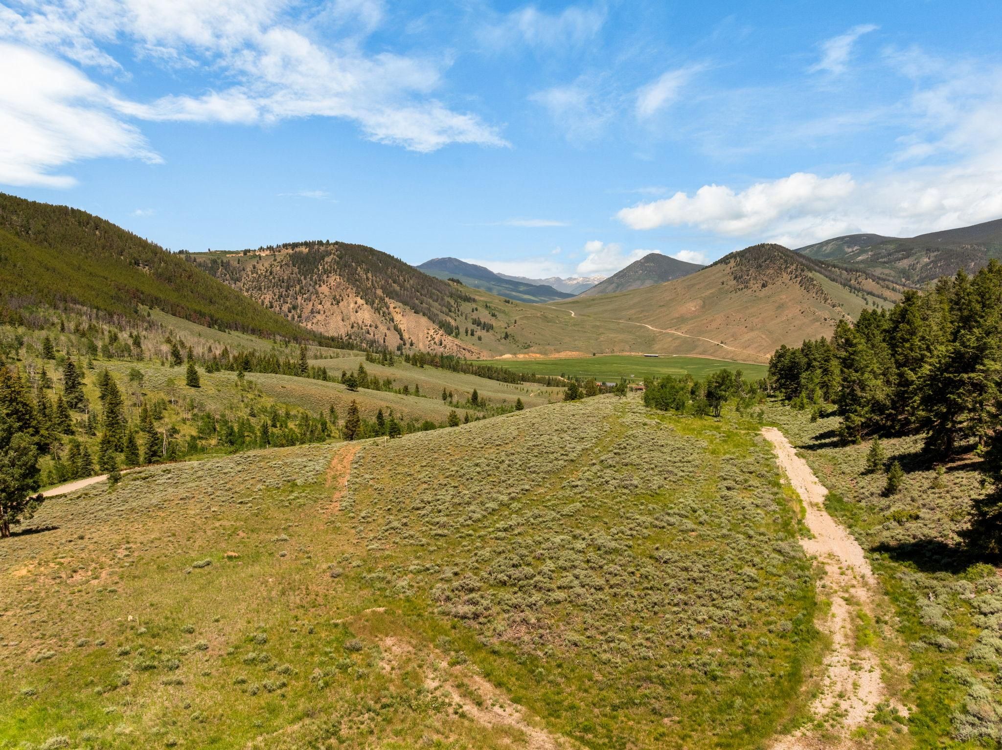 1220 Mountain View Avenue, Almont, CO 81210 | MLS: 1220 Wilder Mountain ...