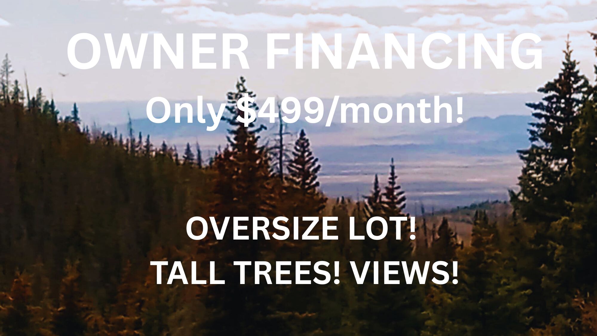 Forbes Rd, Fort Garland, CO 81133 | LandWatch