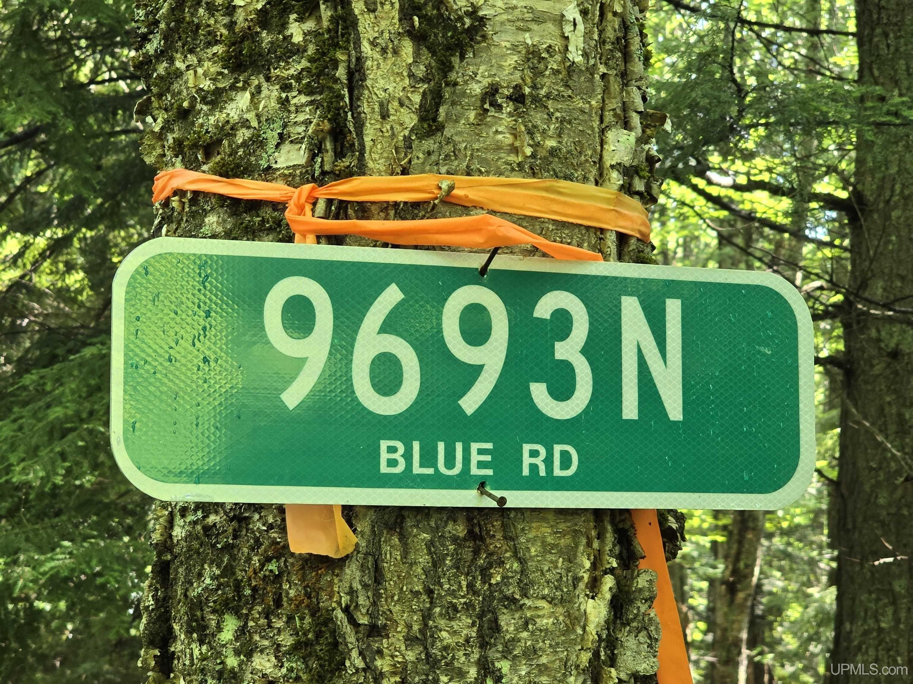 9693N Blue, Nisula, MI 49952 | MLS: 50181052 | LandWatch