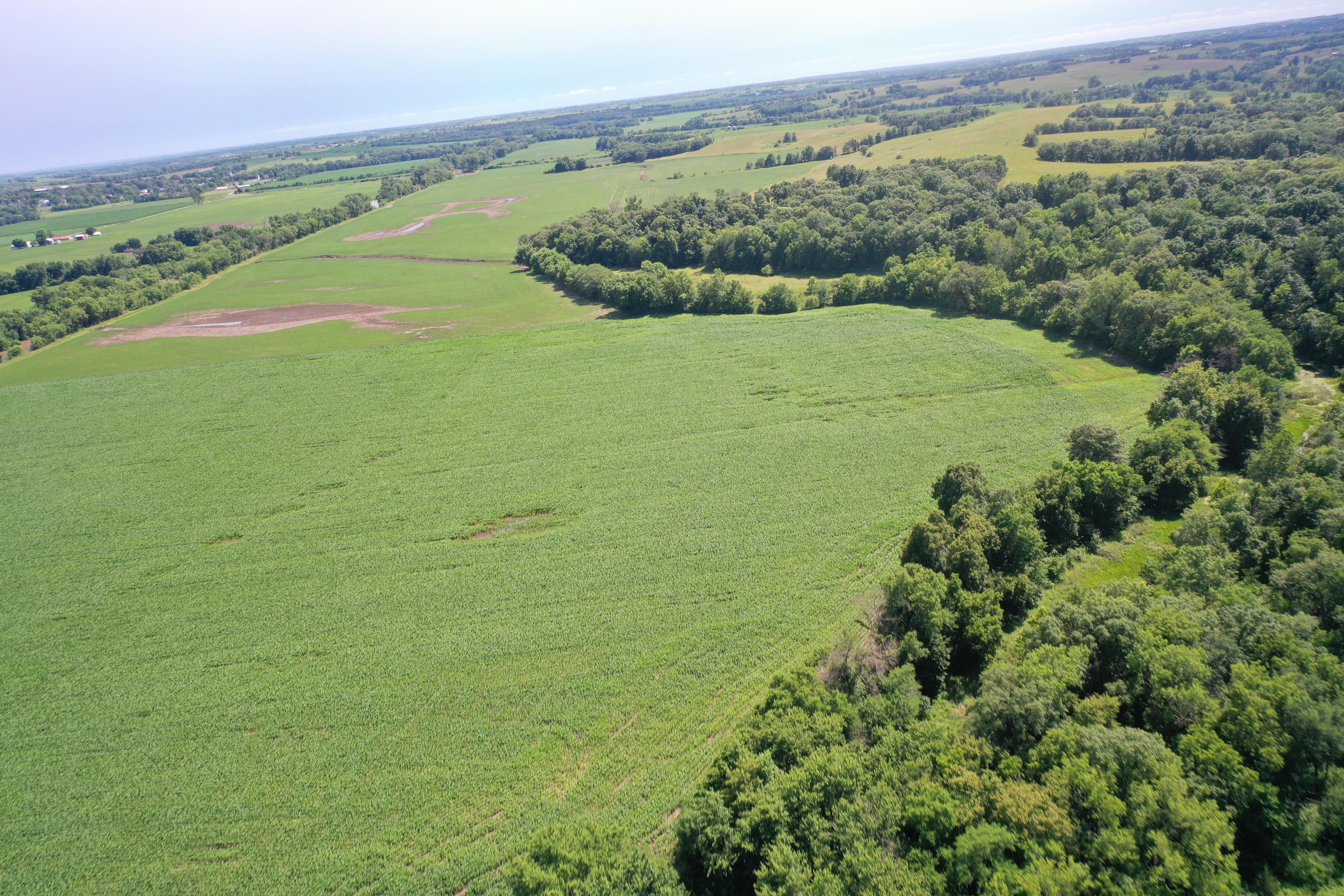 Orion Rd, Parnell, MO 64475 | MLS: 200 +/- Acres m/l/ Nodaway County ...