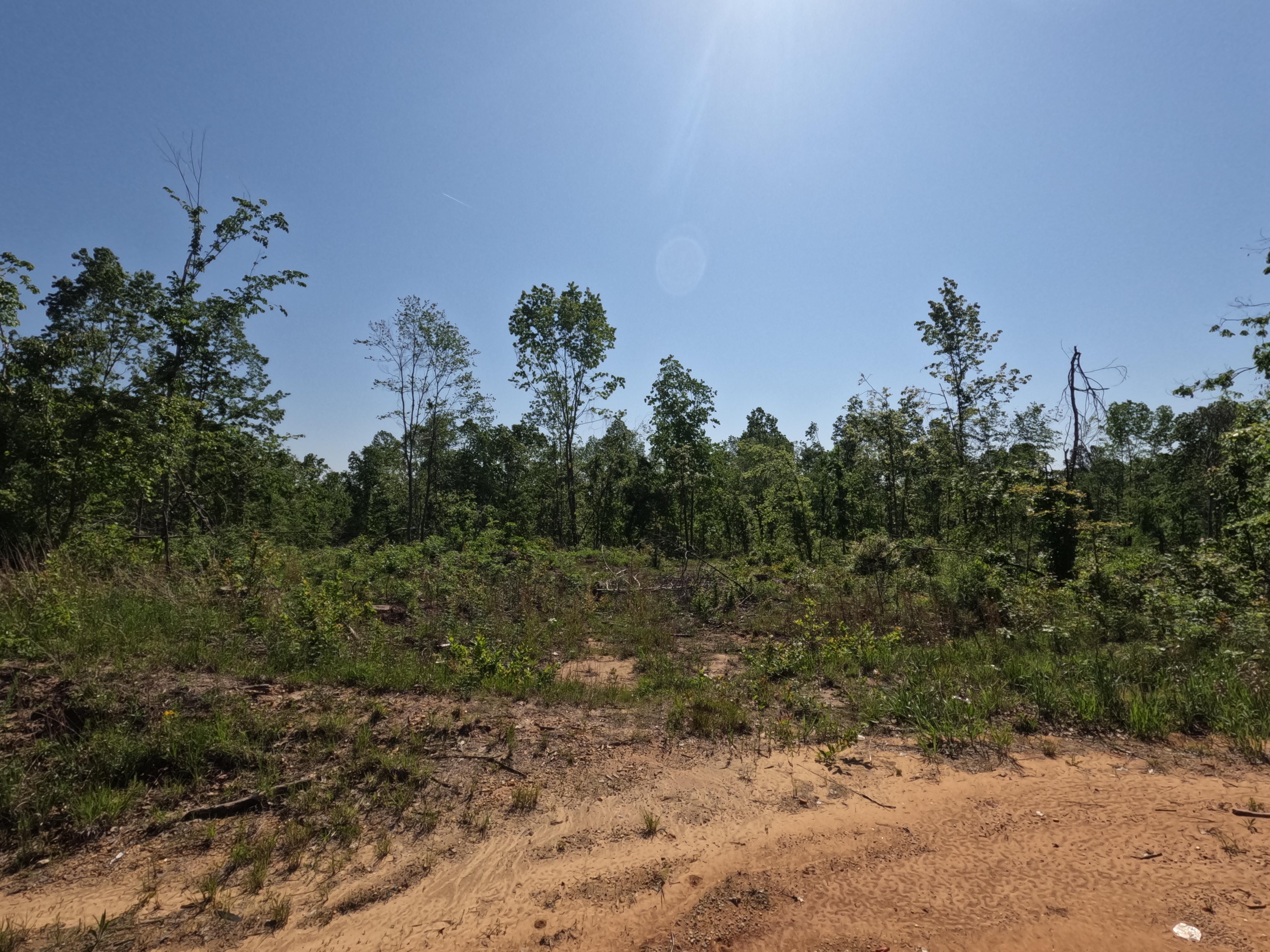 22 Co Rd 3485, New Site, MS 38859 | MLS: LR&D Tract 21 | LandWatch