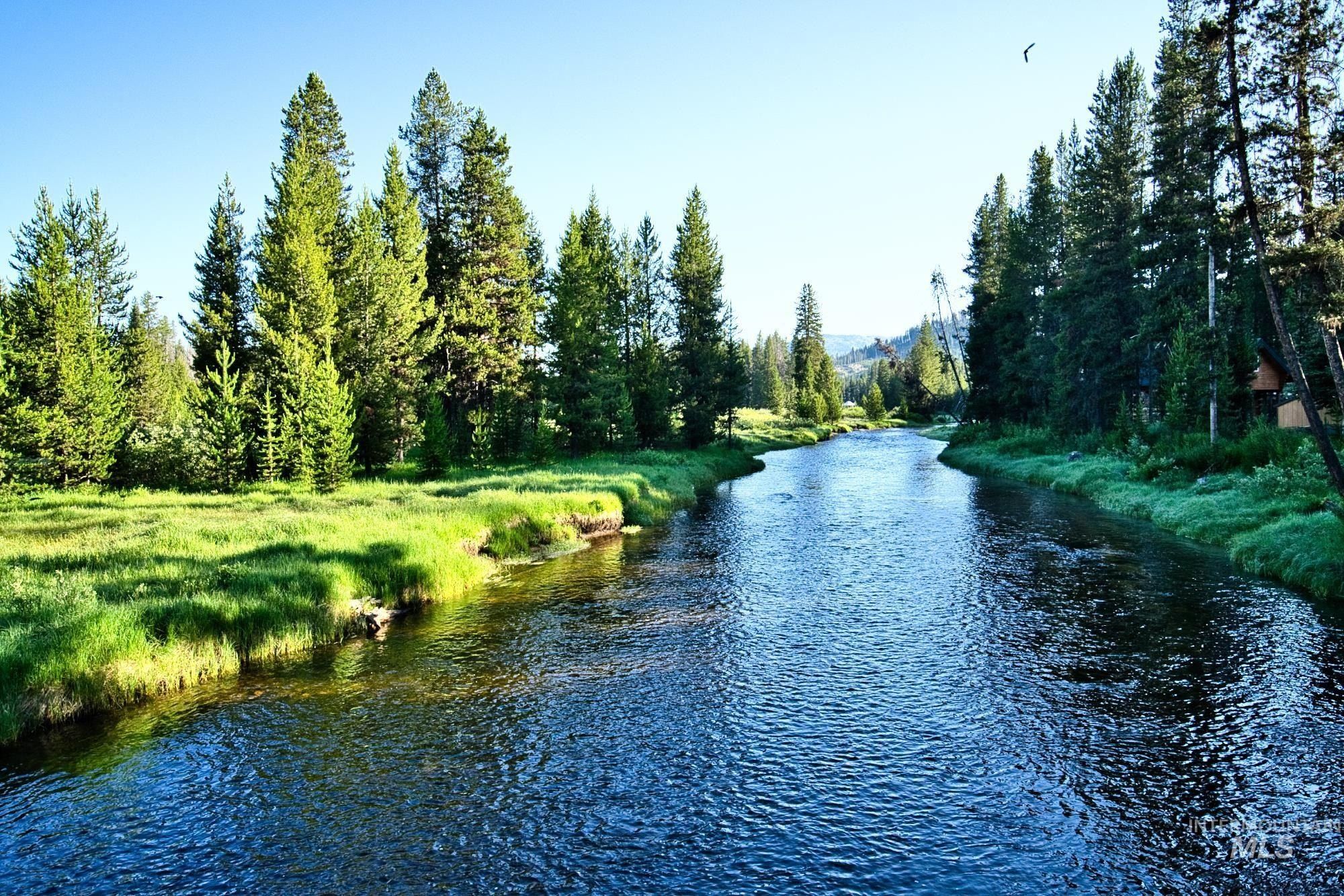 Tbd Secesh River Rd., Pollock, ID 83547 | MLS: 98954016 | LandWatch