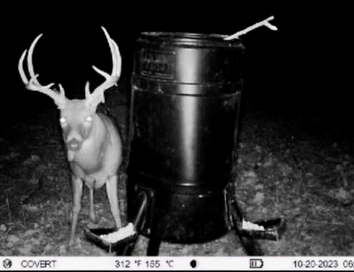 State Route 175 South, Lot#WP001, Graham, KY 42344 | LandWatch