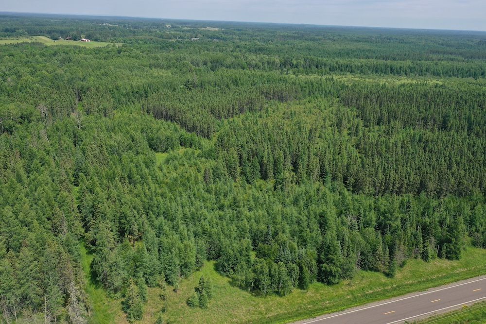 TBD Arkola Road, Cotton, MN 55724 | MLS: 6752347 | LandWatch