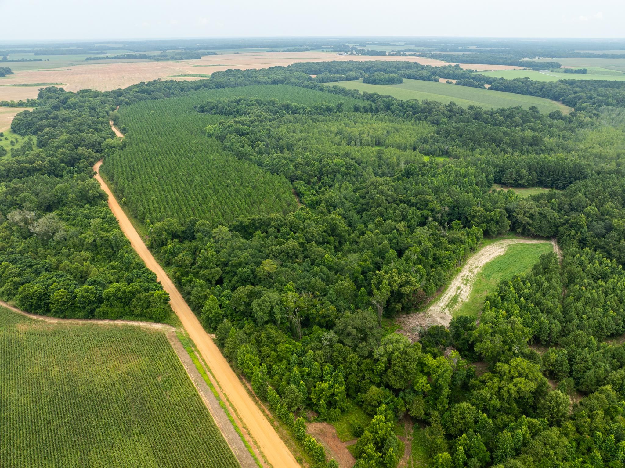 Mitchell Rd, Smithville, GA 31787 | LandWatch